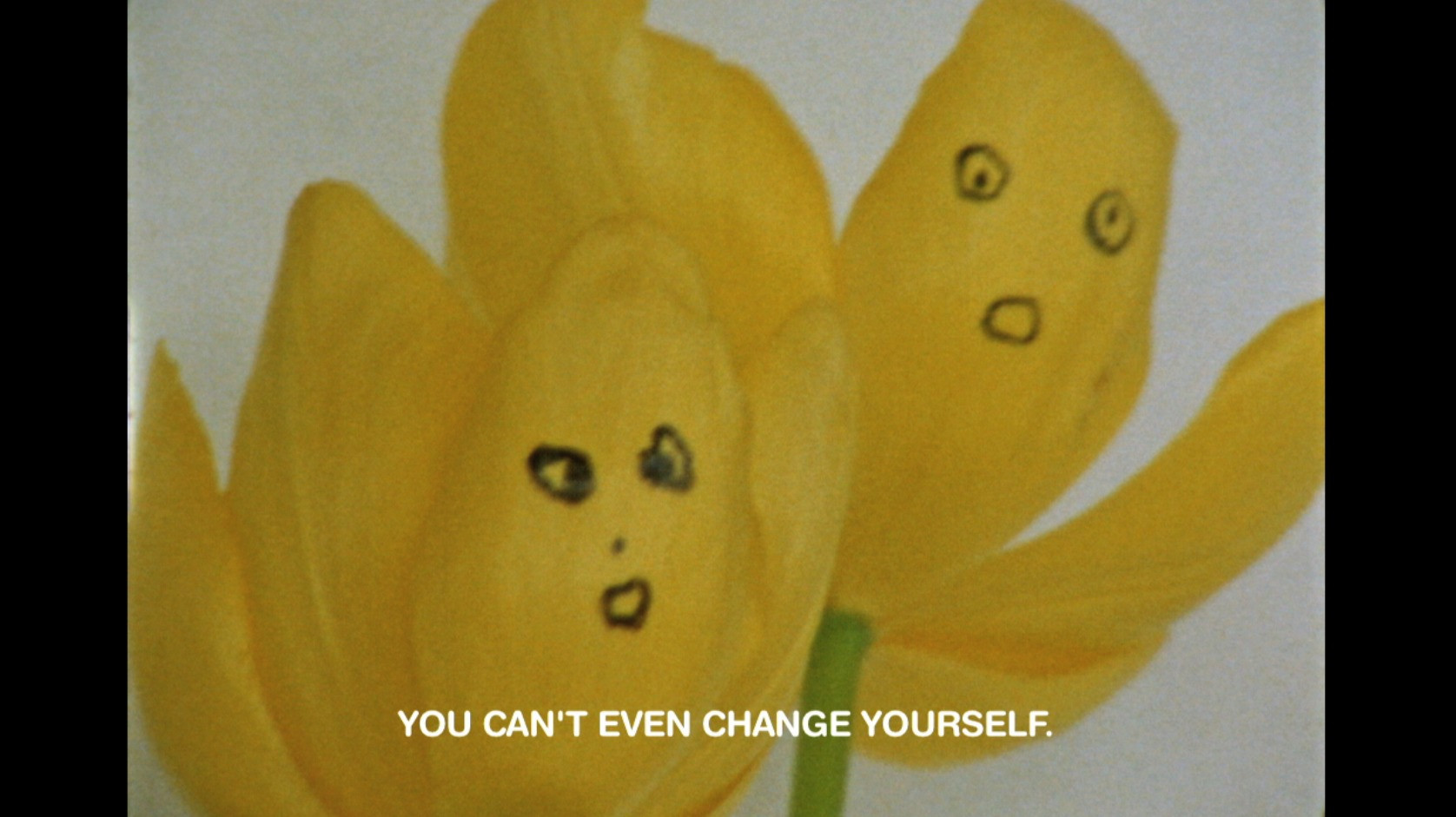 Basim Magdy. 13 Essential Rules for Understanding the World. 2011 | MoMA