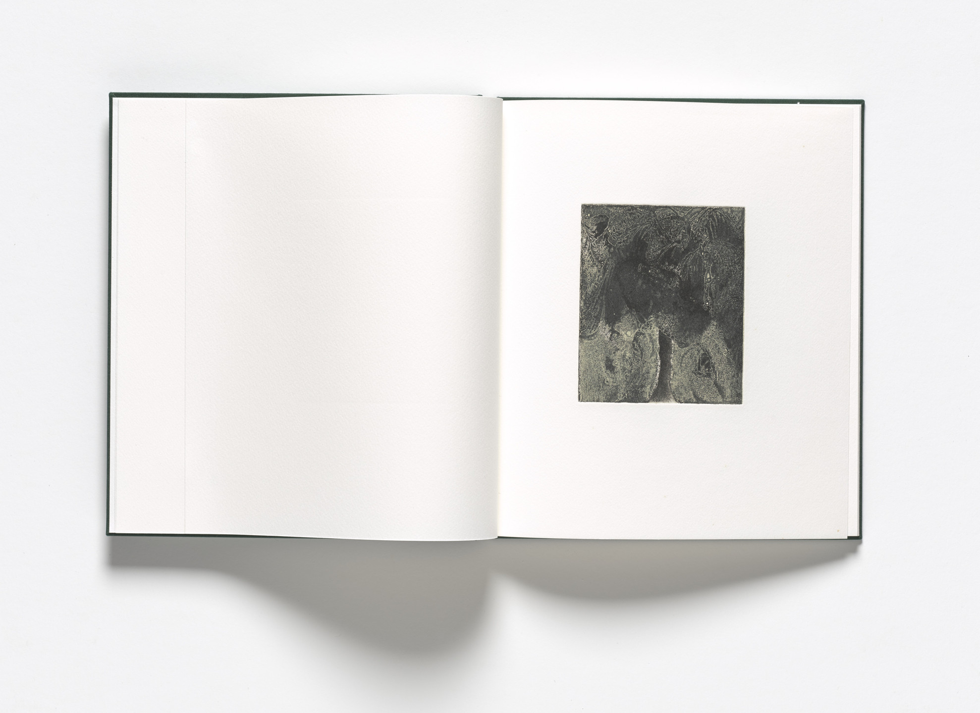 Joe Goode. Untitled from Storm Trees. 1988 | MoMA