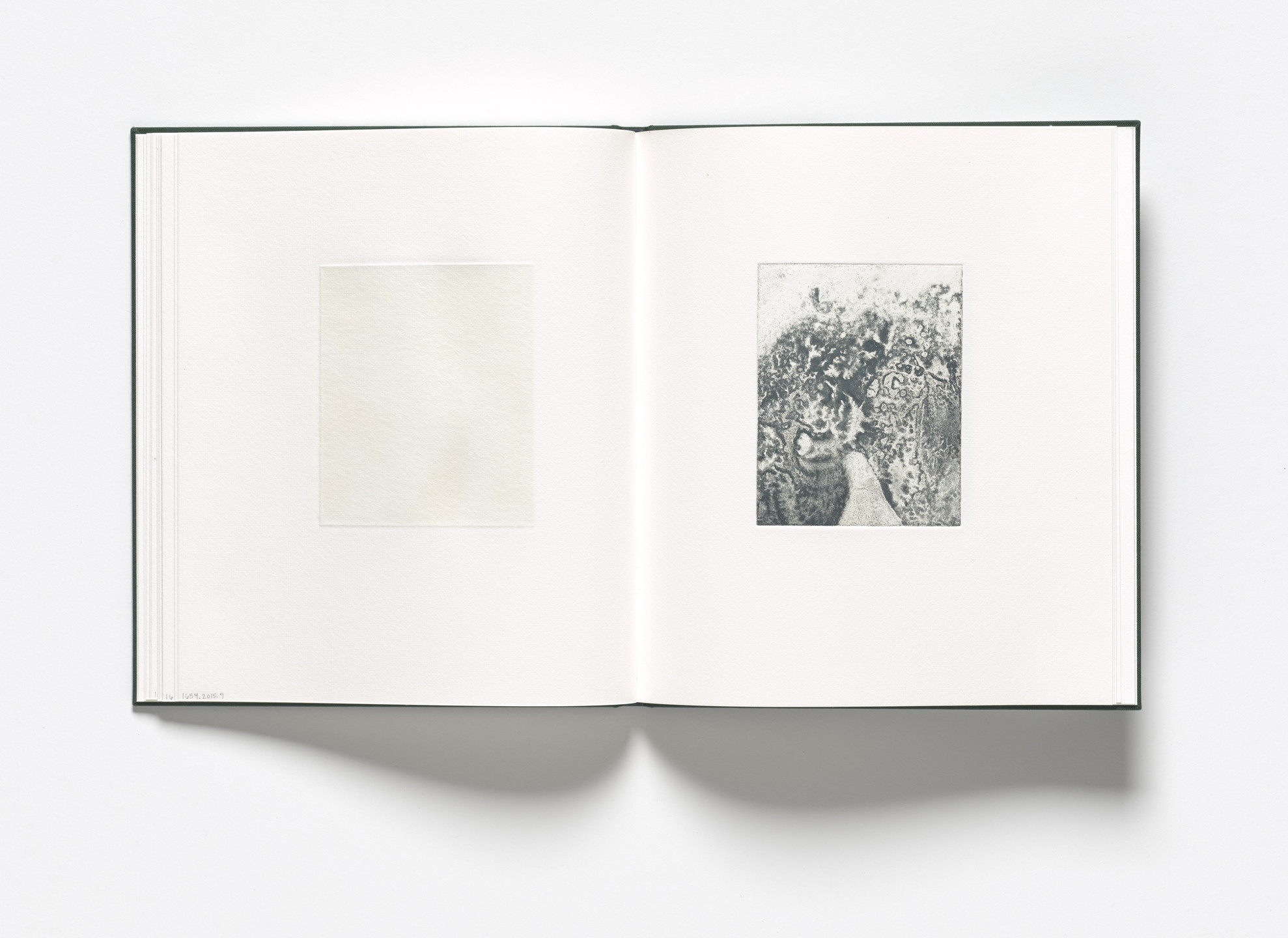 Joe Goode. Untitled from Storm Trees. 1988 | MoMA