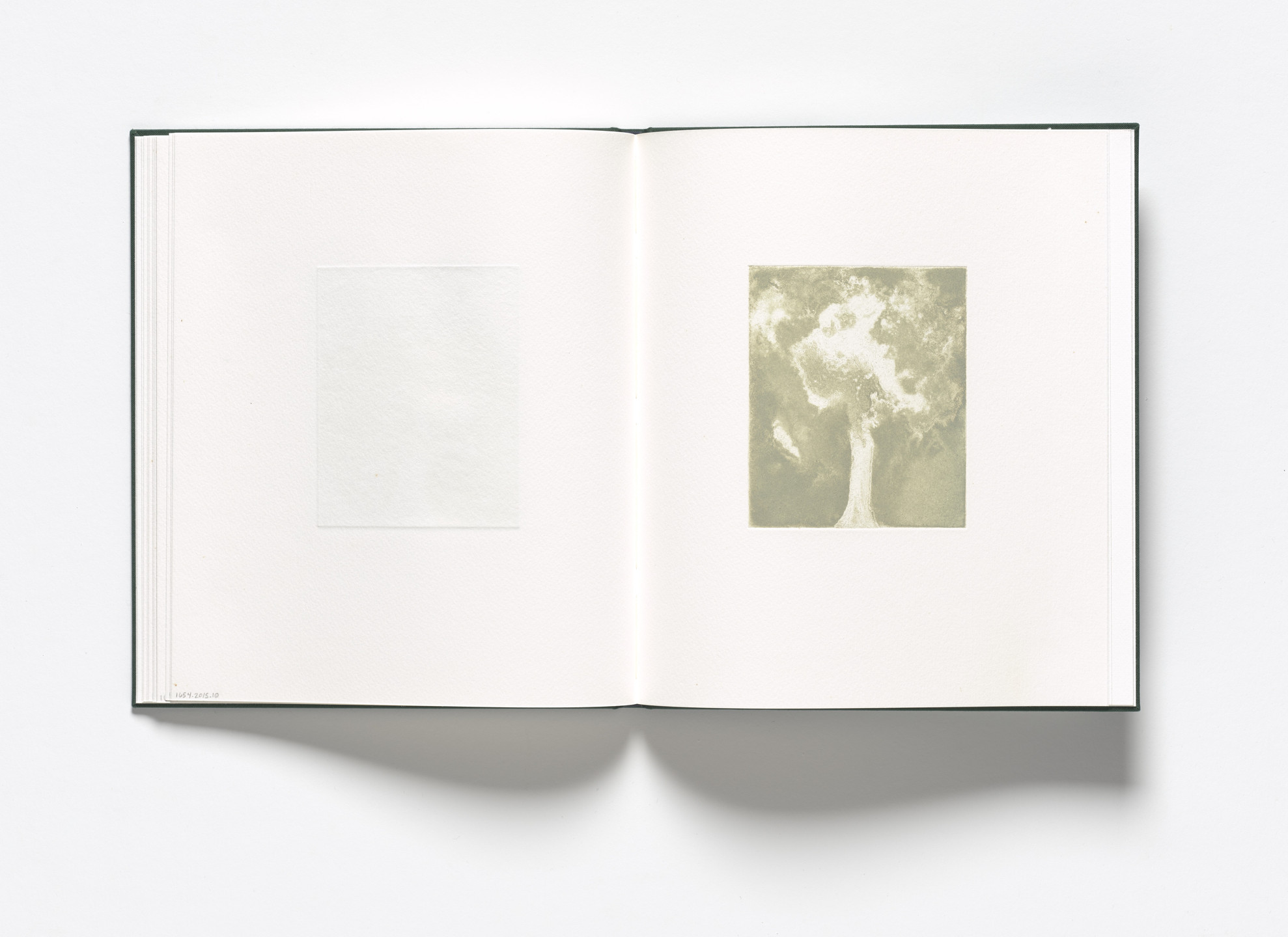 Joe Goode. Untitled from Storm Trees. 1988 | MoMA