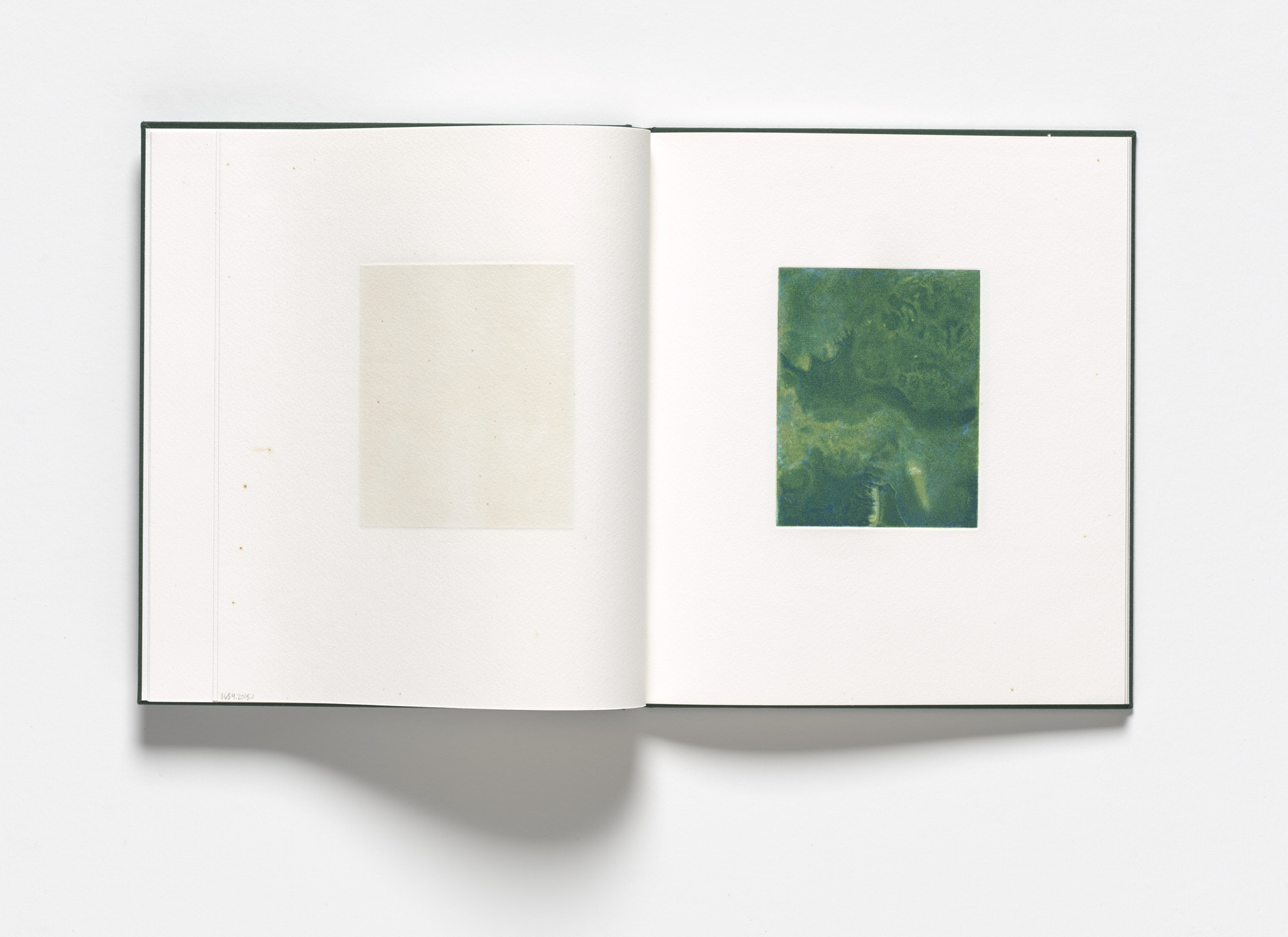 Joe Goode. Untitled from Storm Trees. 1988 | MoMA