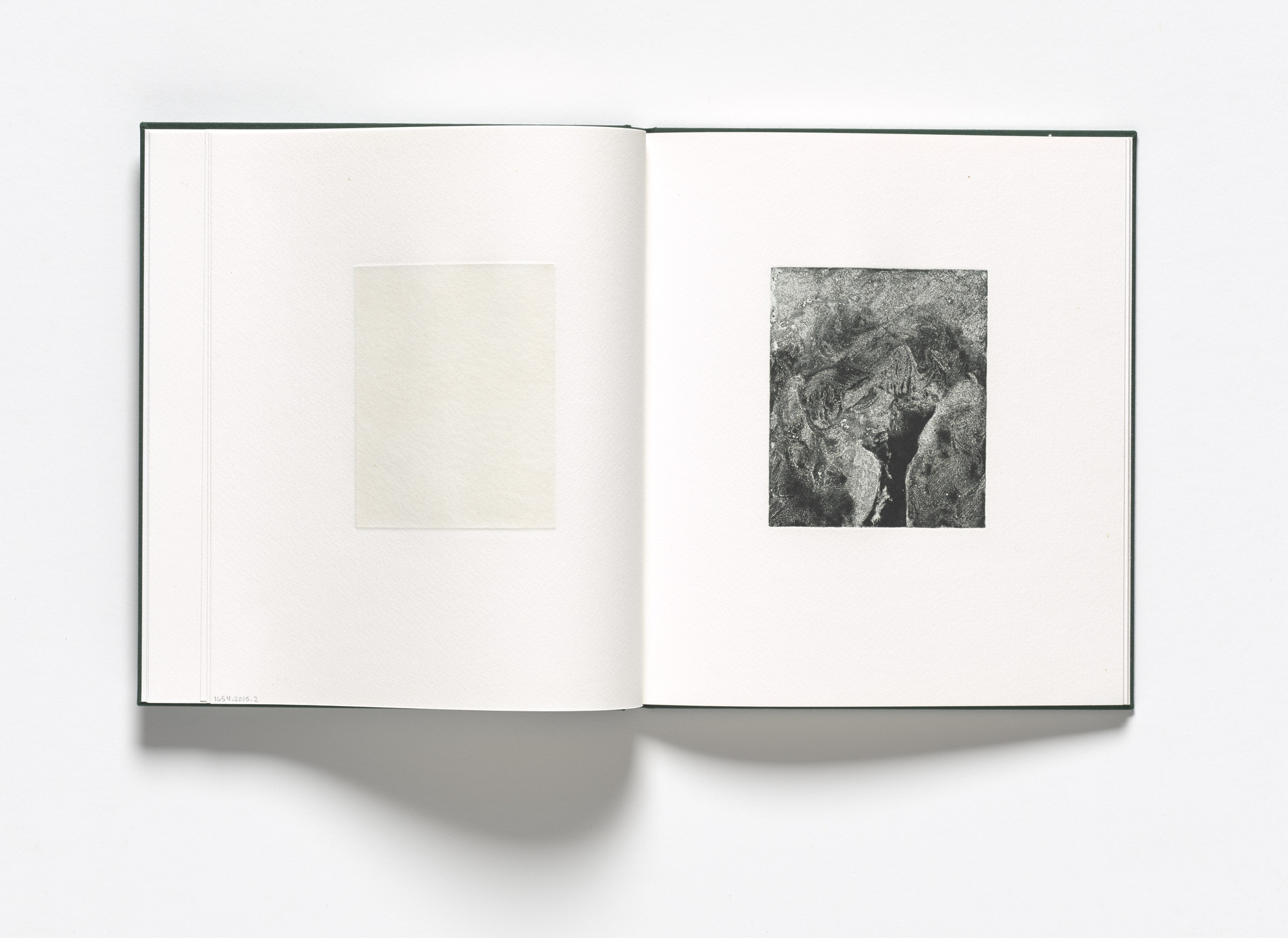 Joe Goode. Untitled from Storm Trees. 1988 | MoMA