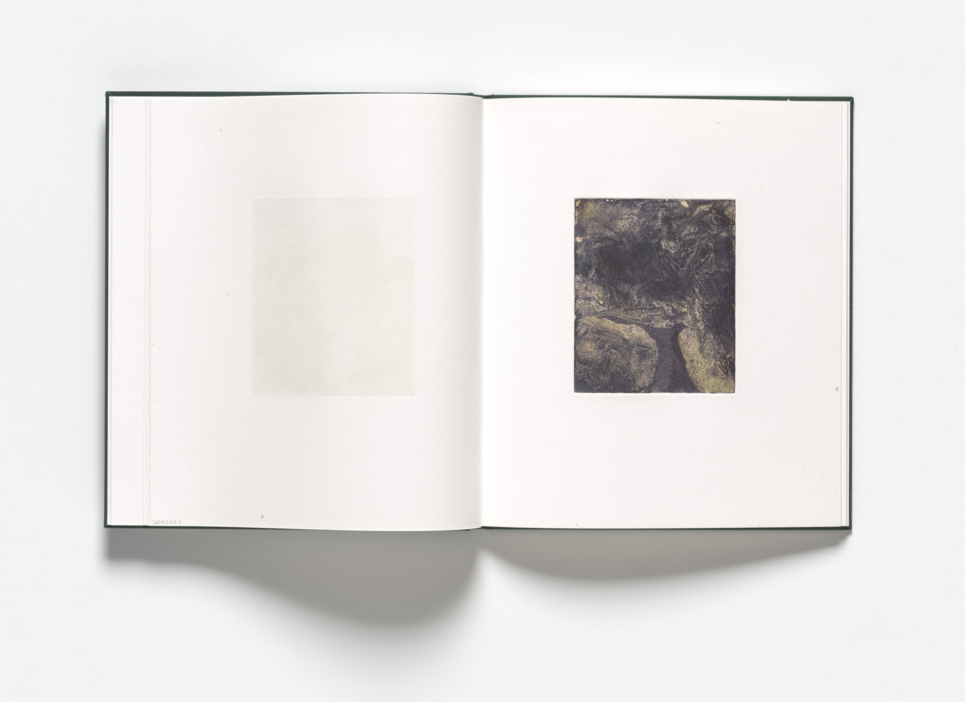 Joe Goode. Untitled from Storm Trees. 1988 | MoMA