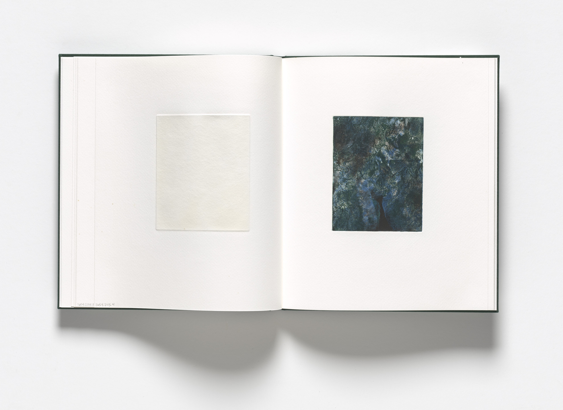 Joe Goode. Untitled from Storm Trees. 1988 | MoMA