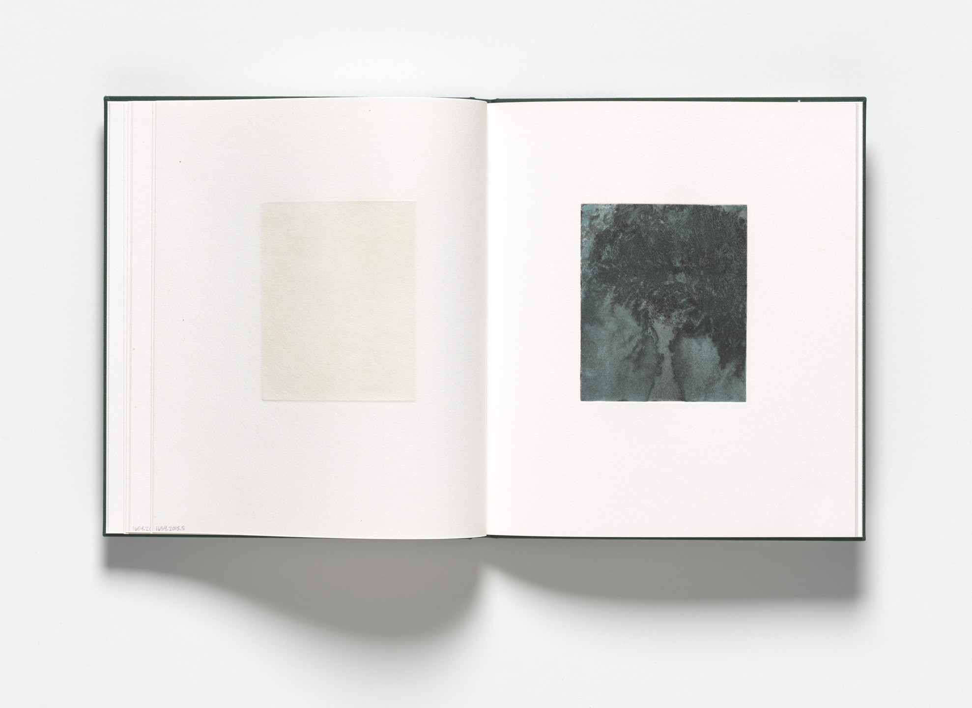 Joe Goode. Untitled from Storm Trees. 1988 | MoMA