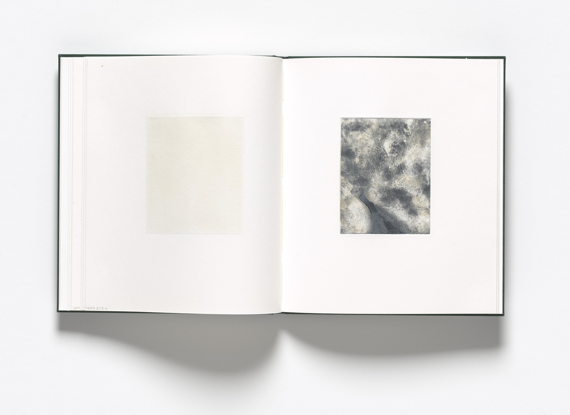 Joe Goode. Untitled from Storm Trees. 1988 | MoMA