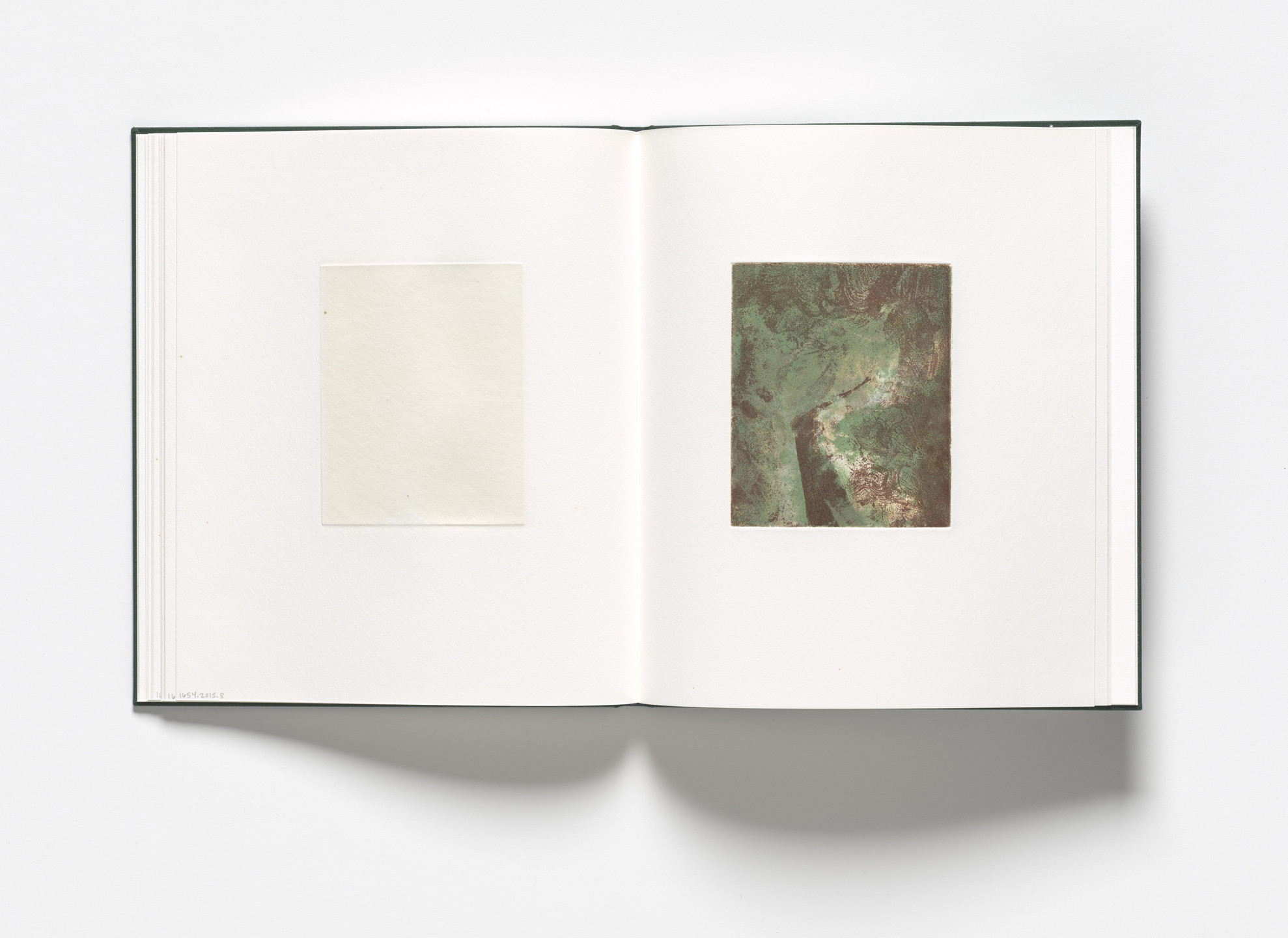 Joe Goode. Untitled from Storm Trees. 1988 | MoMA