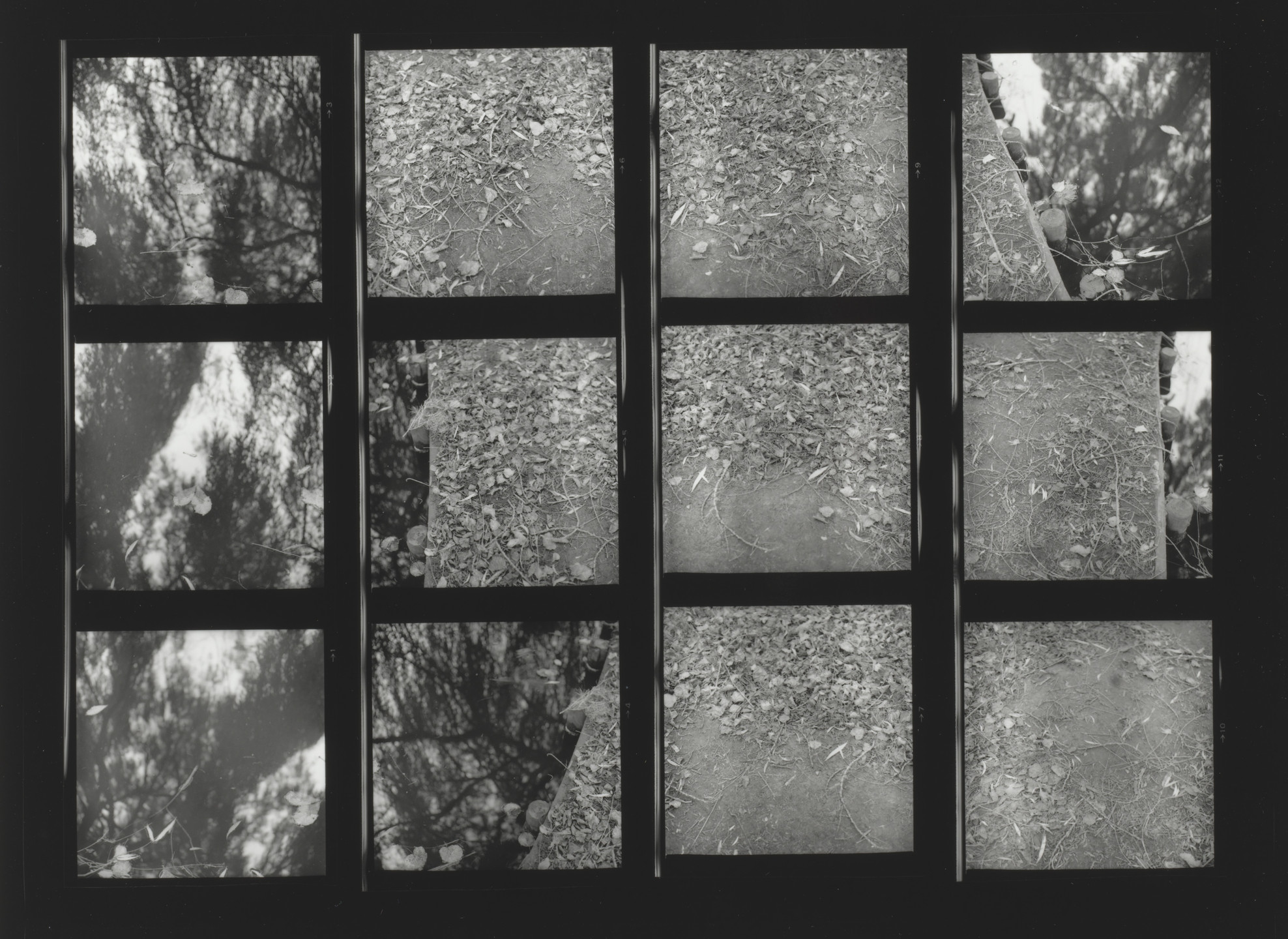 Jan Dibbets. Structure Panoramas. 1973 | MoMA