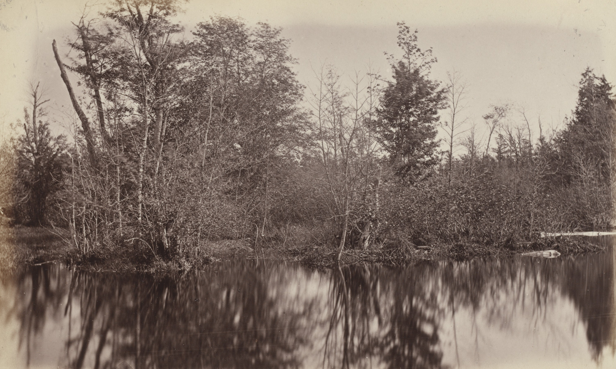 Alexander Henderson. In a Swamp, Photographic Views and Studies of ...