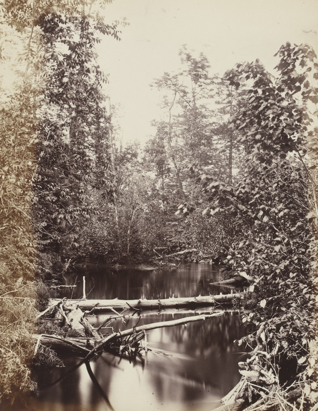 Alexander Henderson. Photographic Views and Studies of Canadian Scenery ...