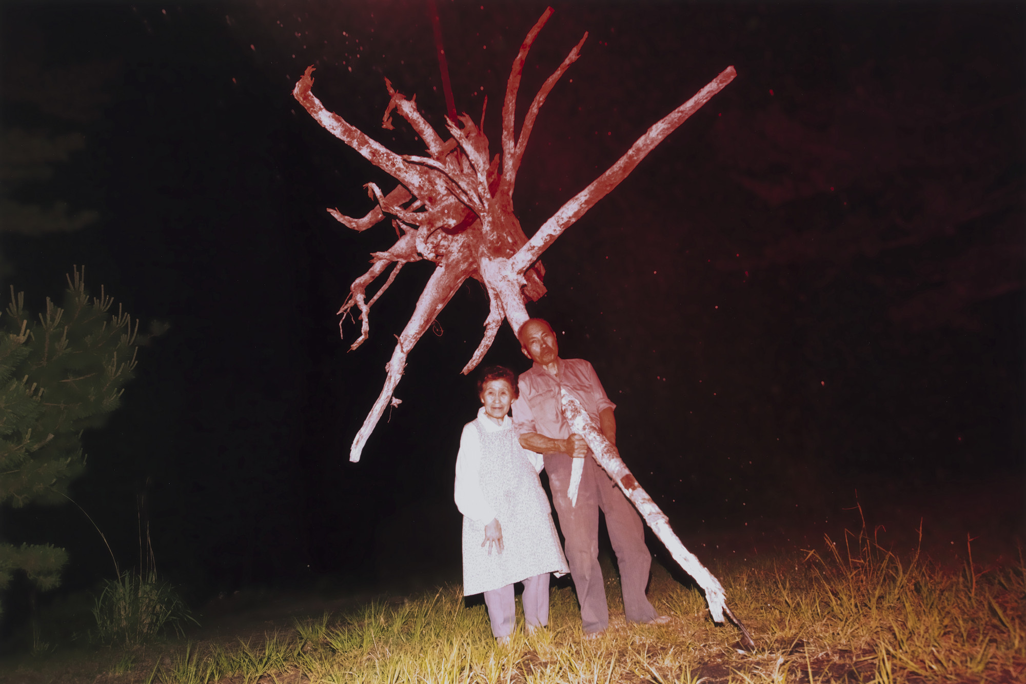 Lieko Shiga. portrait of cultivation from the series Rasen Kaigan. 2009 ...