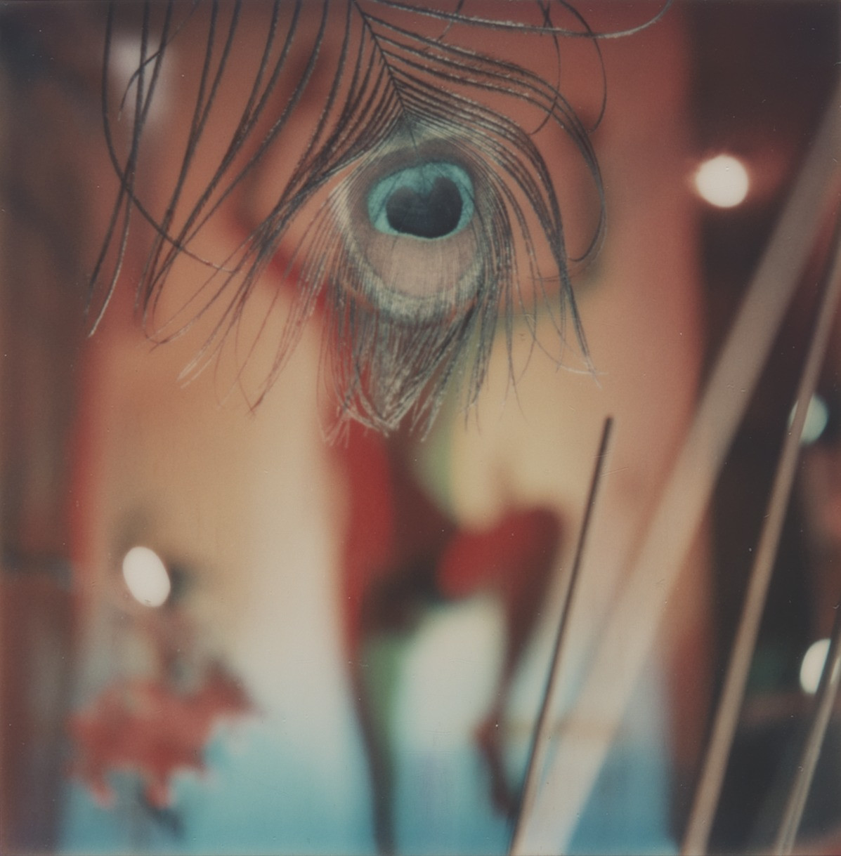 Lucas Samaras. Photo Transformation #6469. 1976 | MoMA