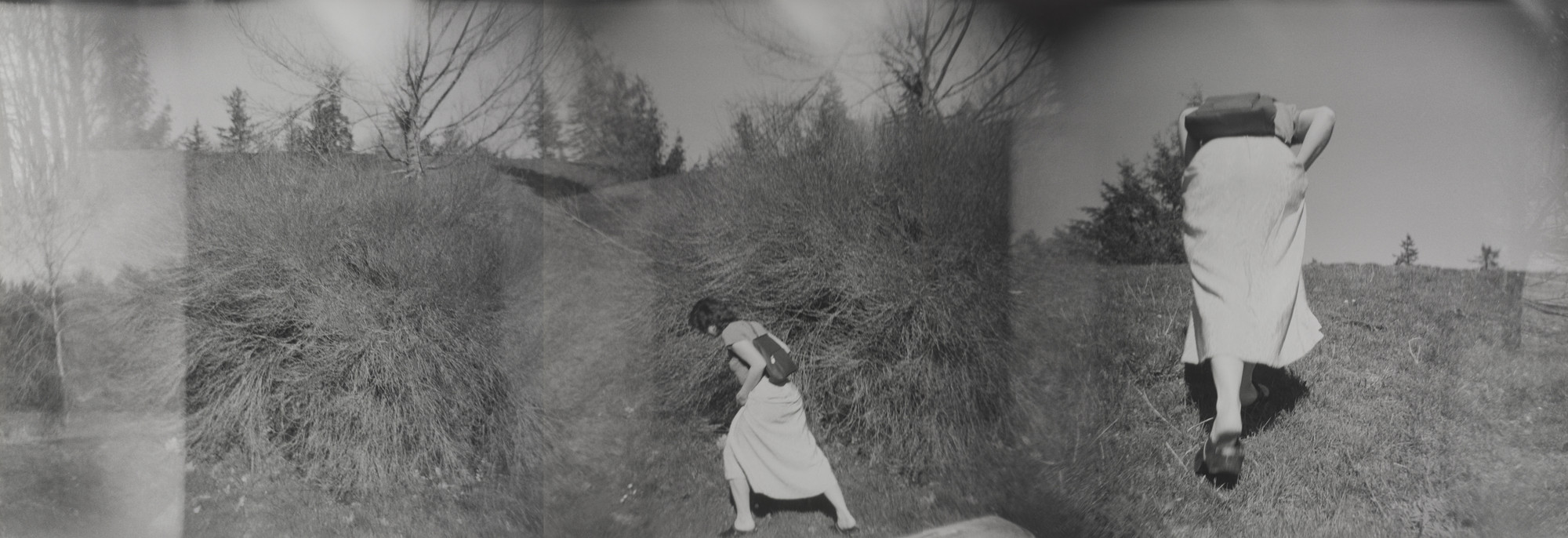 Sharon Harper | MoMA