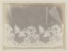 William Henry Fox Talbot. Lace. 1845 | MoMA