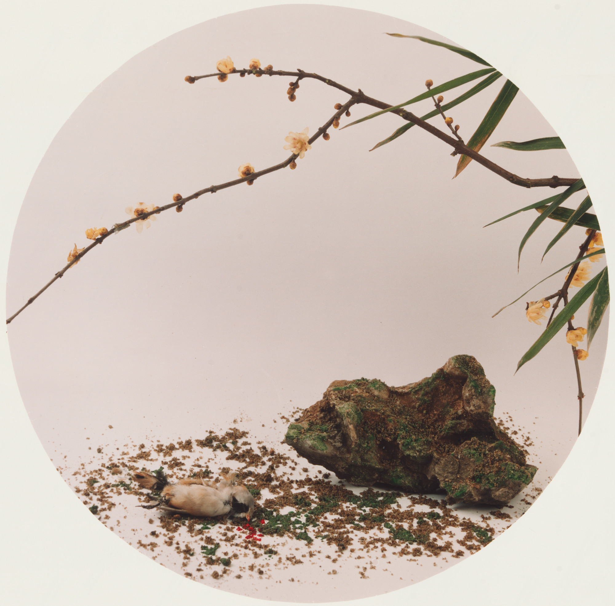 Hong Lei. Secret Fragrance and Dappled Shadow. 1999 | MoMA
