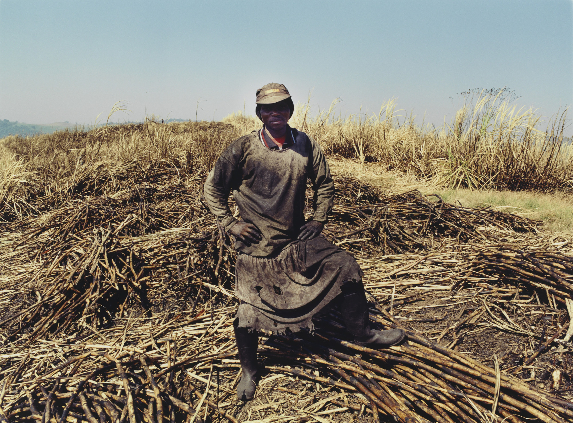Zwelethu Mthethwa. Untitled, from the series Sugar Cane. 2003 | MoMA