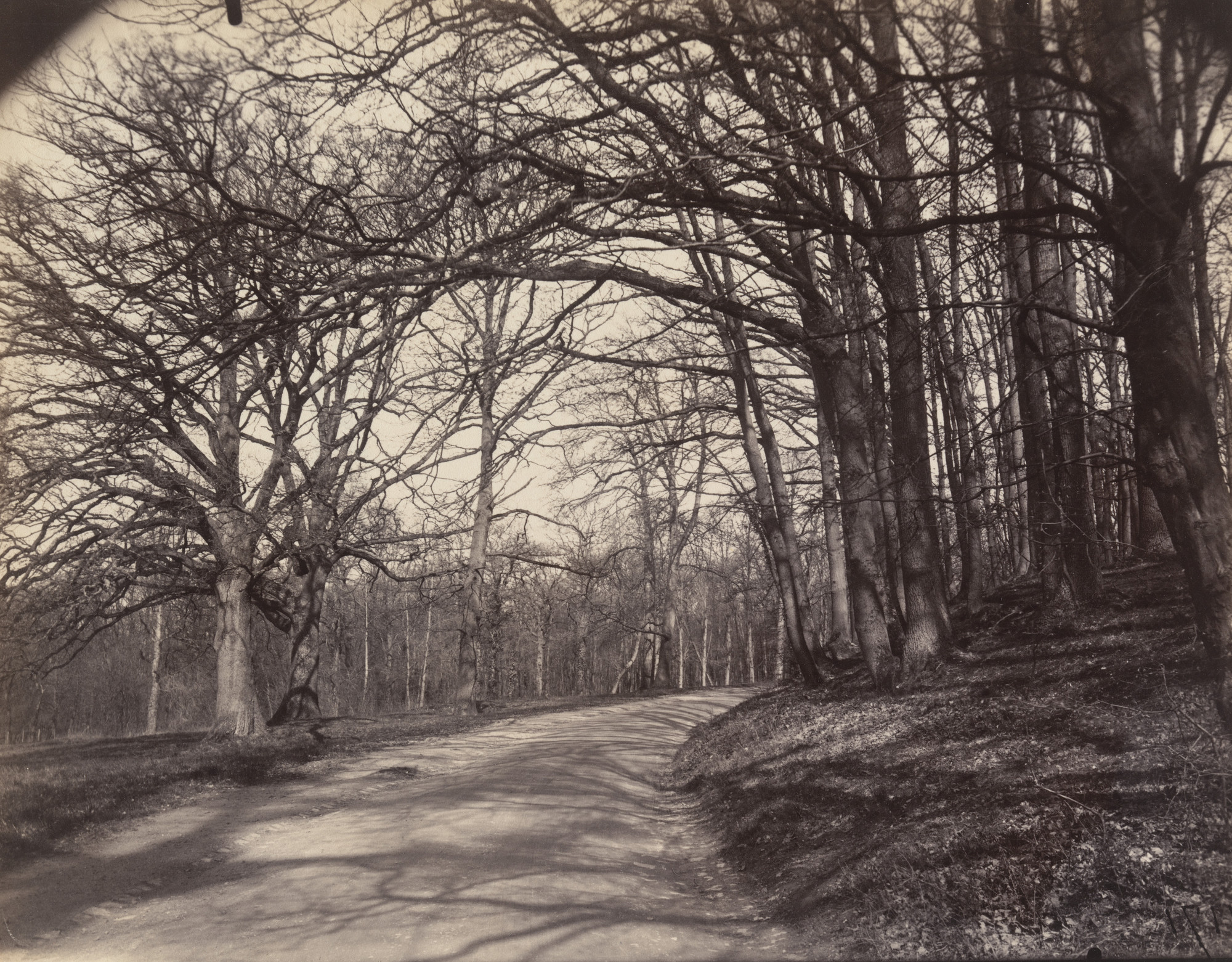 Eugène Atget. Saint-Cloud. Mars 1923 | MoMA
