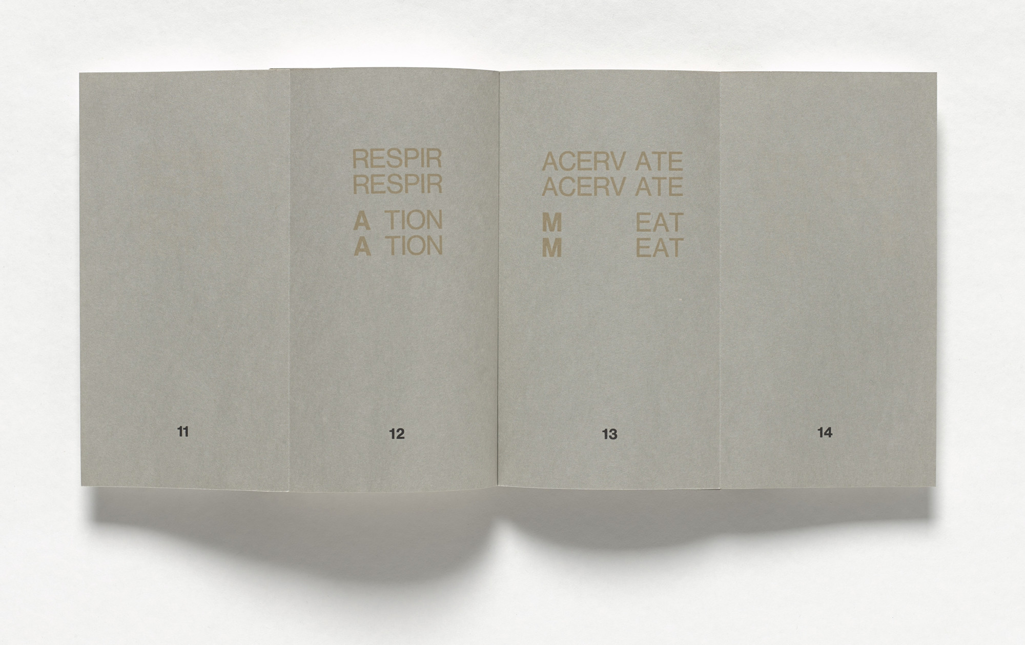 Paul Sharits. Mirror Meat. 1965 | MoMA