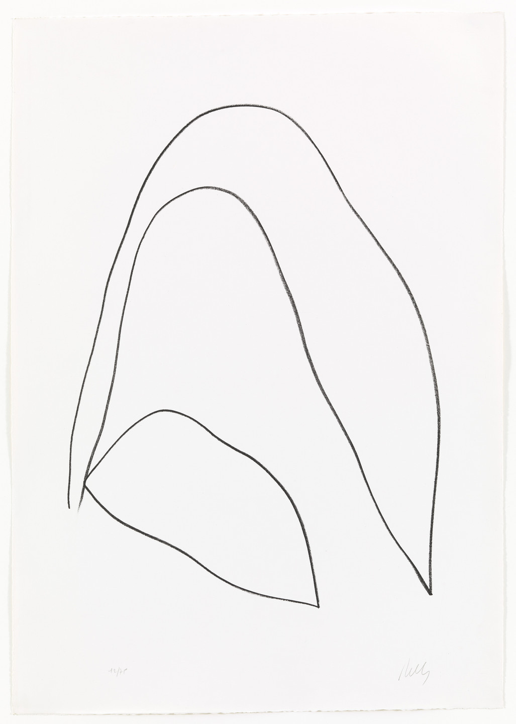 Ellsworth Kelly. Leaves (Feuilles) from Suite of Plant Lithographs ...