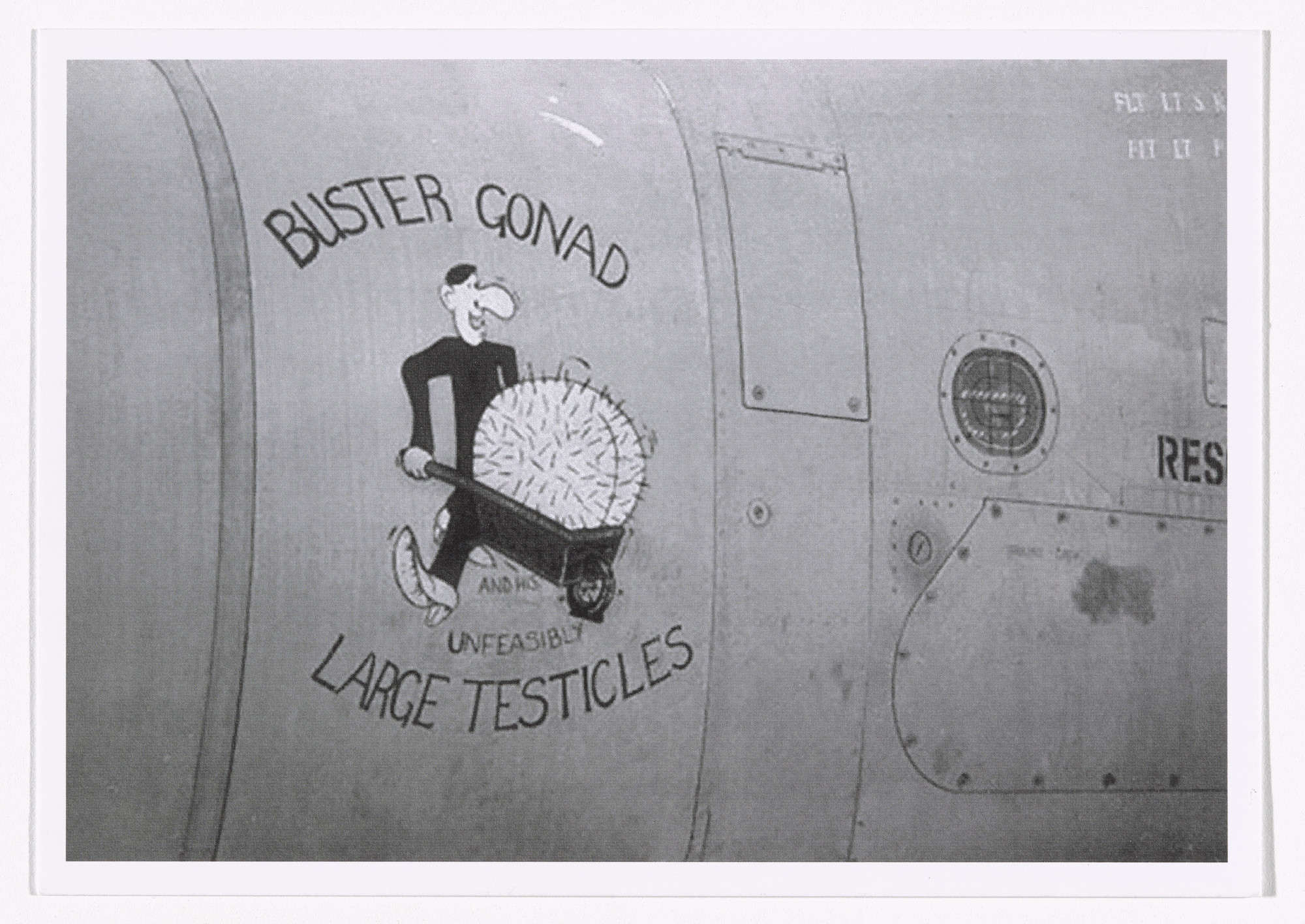 Fiona Banner. Buster Gonad and his Unfeasibly Large Testicles. 2010 | MoMA