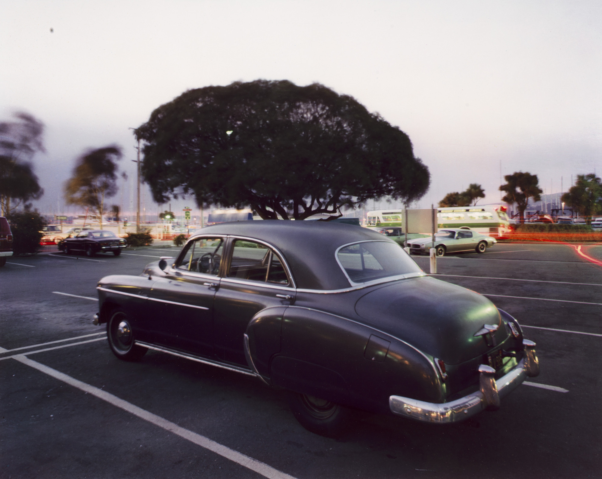 Joe Maloney. Joe Maloney. 1982 | MoMA