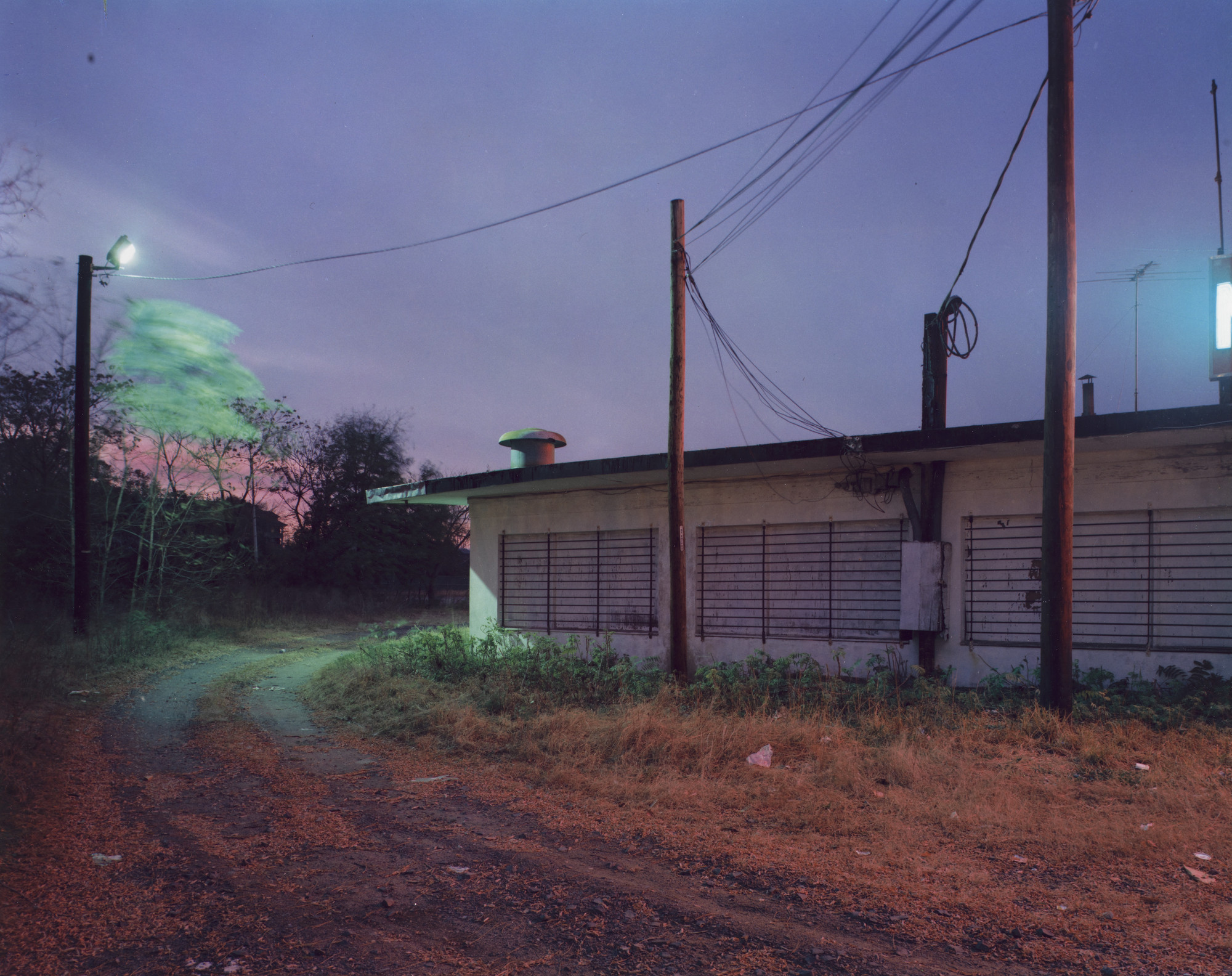 Joe Maloney. Joe Maloney. 1982 | MoMA