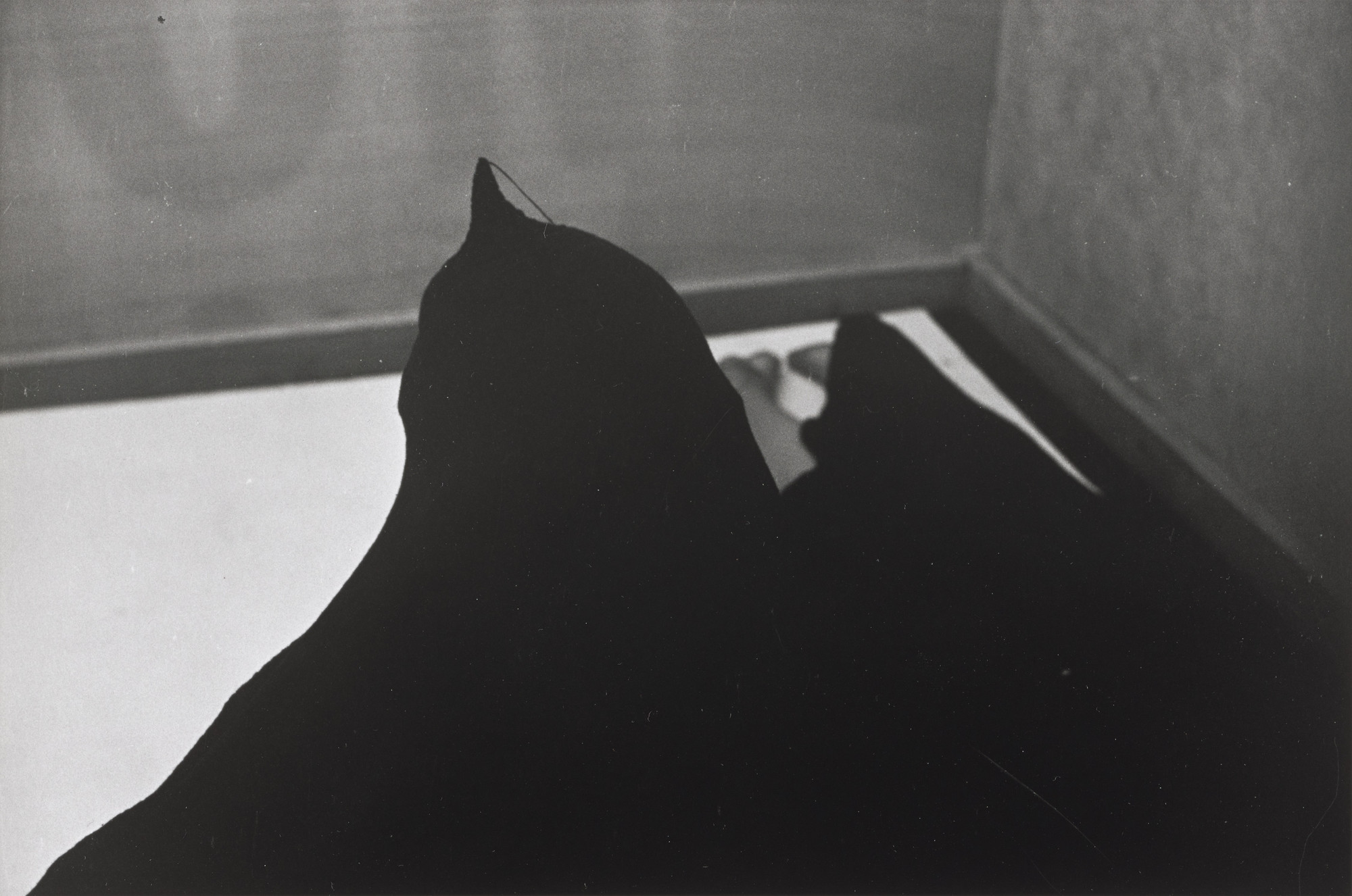 Fred W. McDarrah. Eye Bags in The Stone, installation at Judson Gallery ...