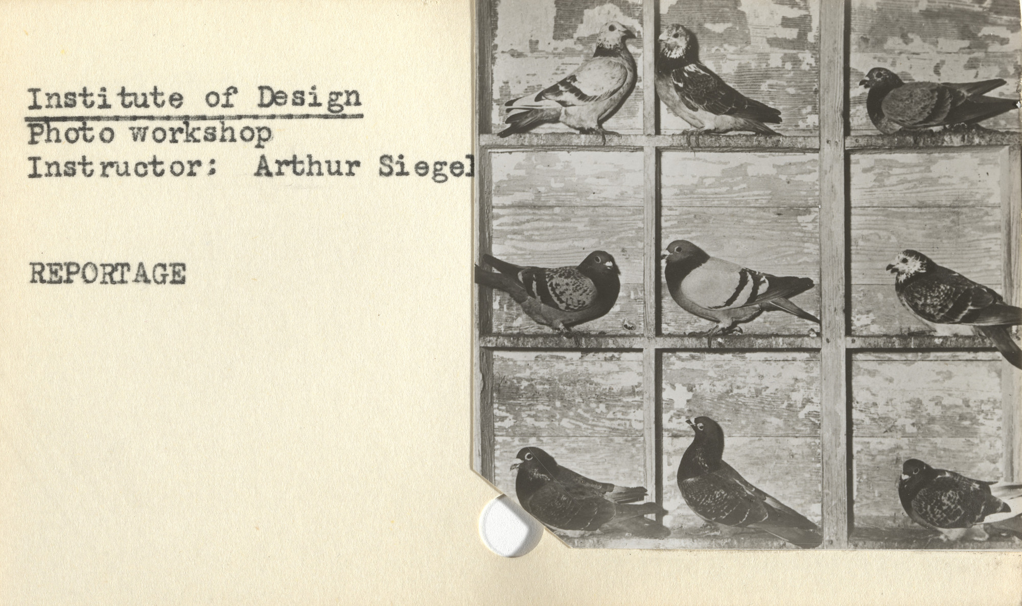 Arthur Siegel, Institute of Design. Untitled instructional card. c ...