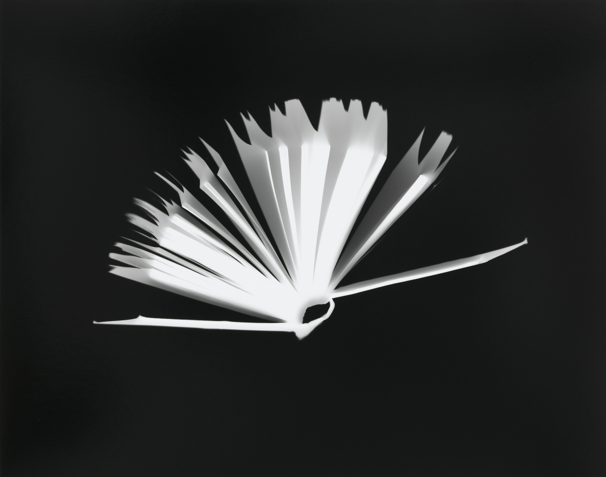 Alison Rossiter | MoMA