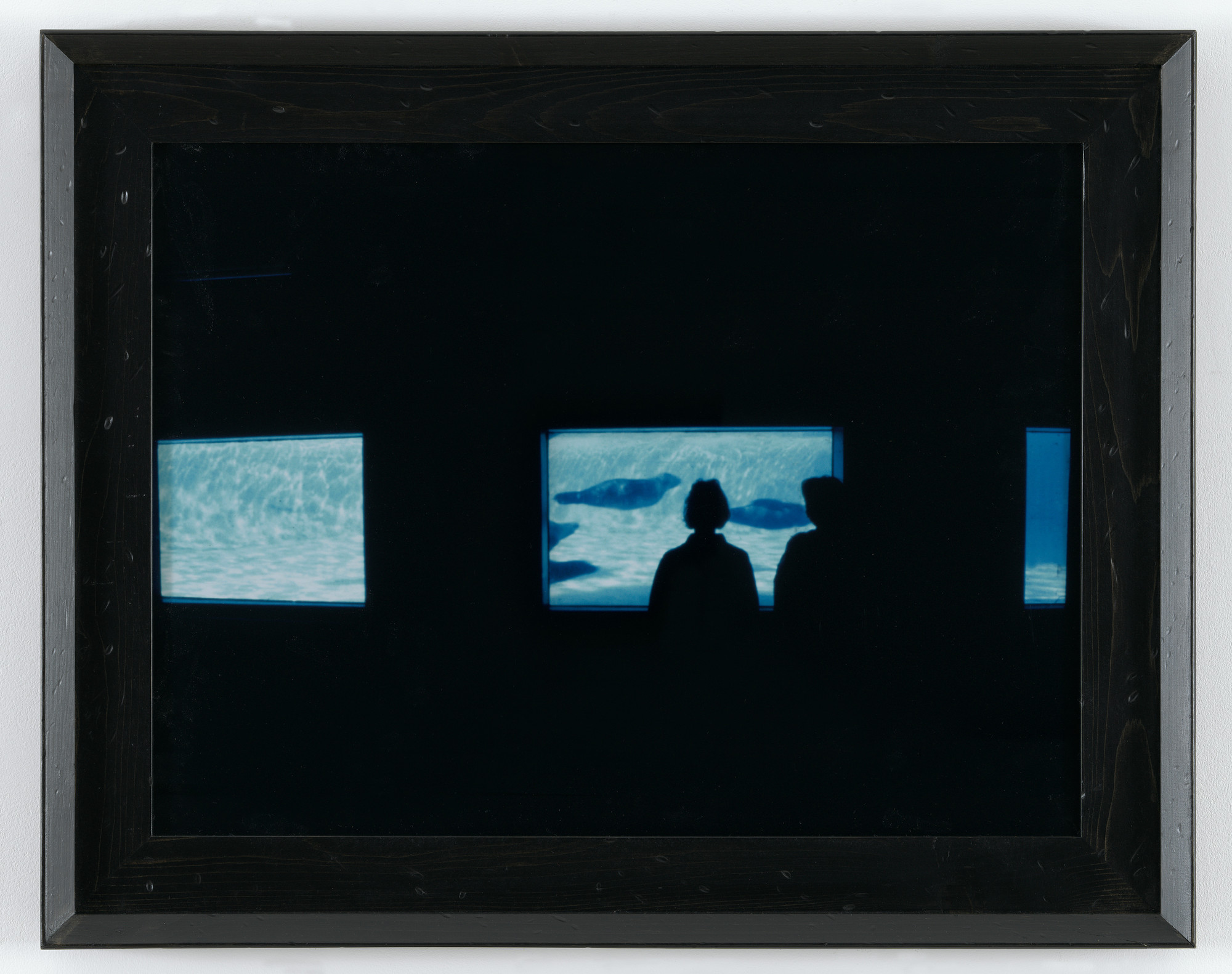 Barbara Bloom. Amsterdam Aquarium Viewers. 1980 | MoMA