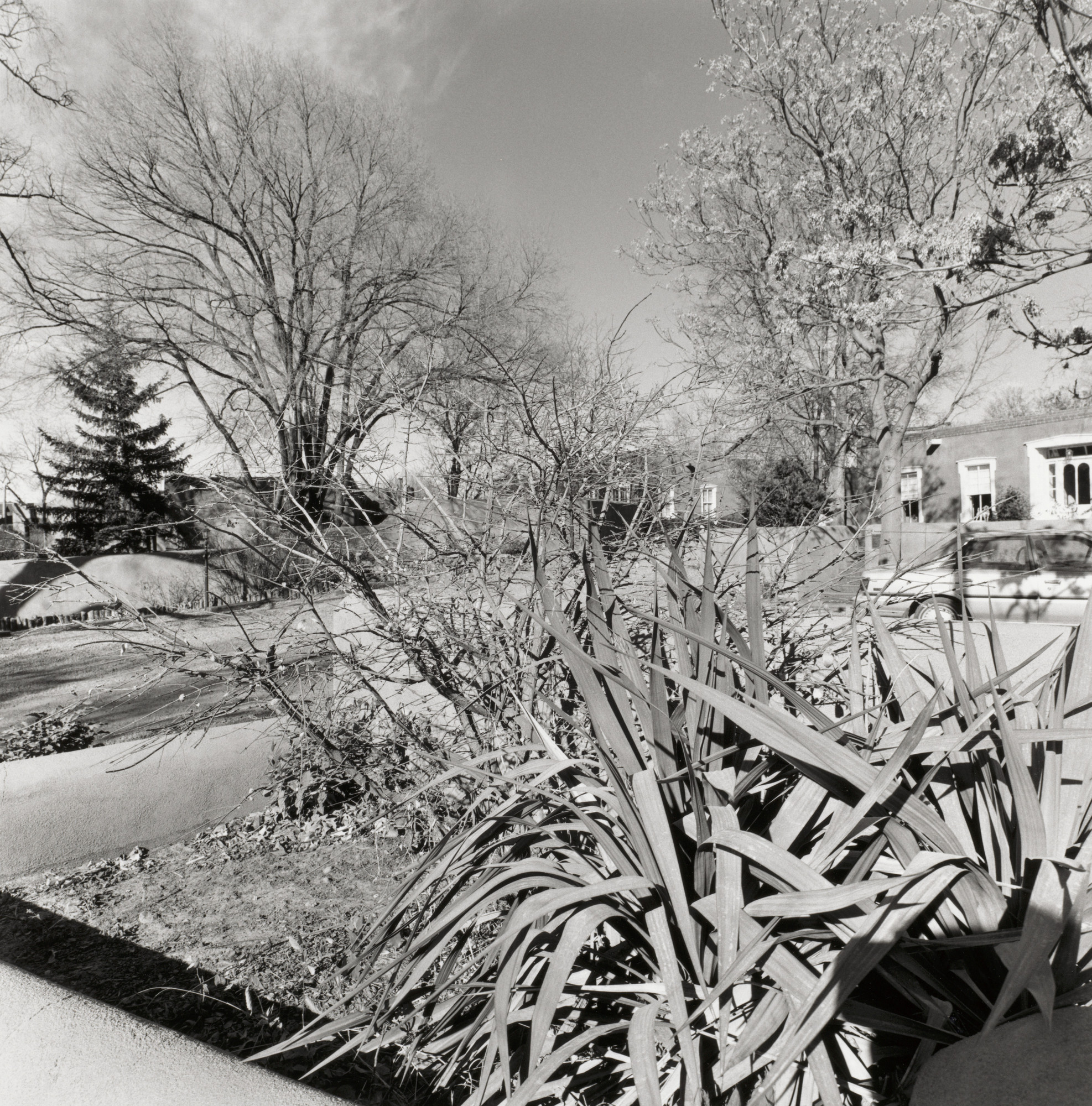 Lee Friedlander. Santa Fe. 1995 | MoMA