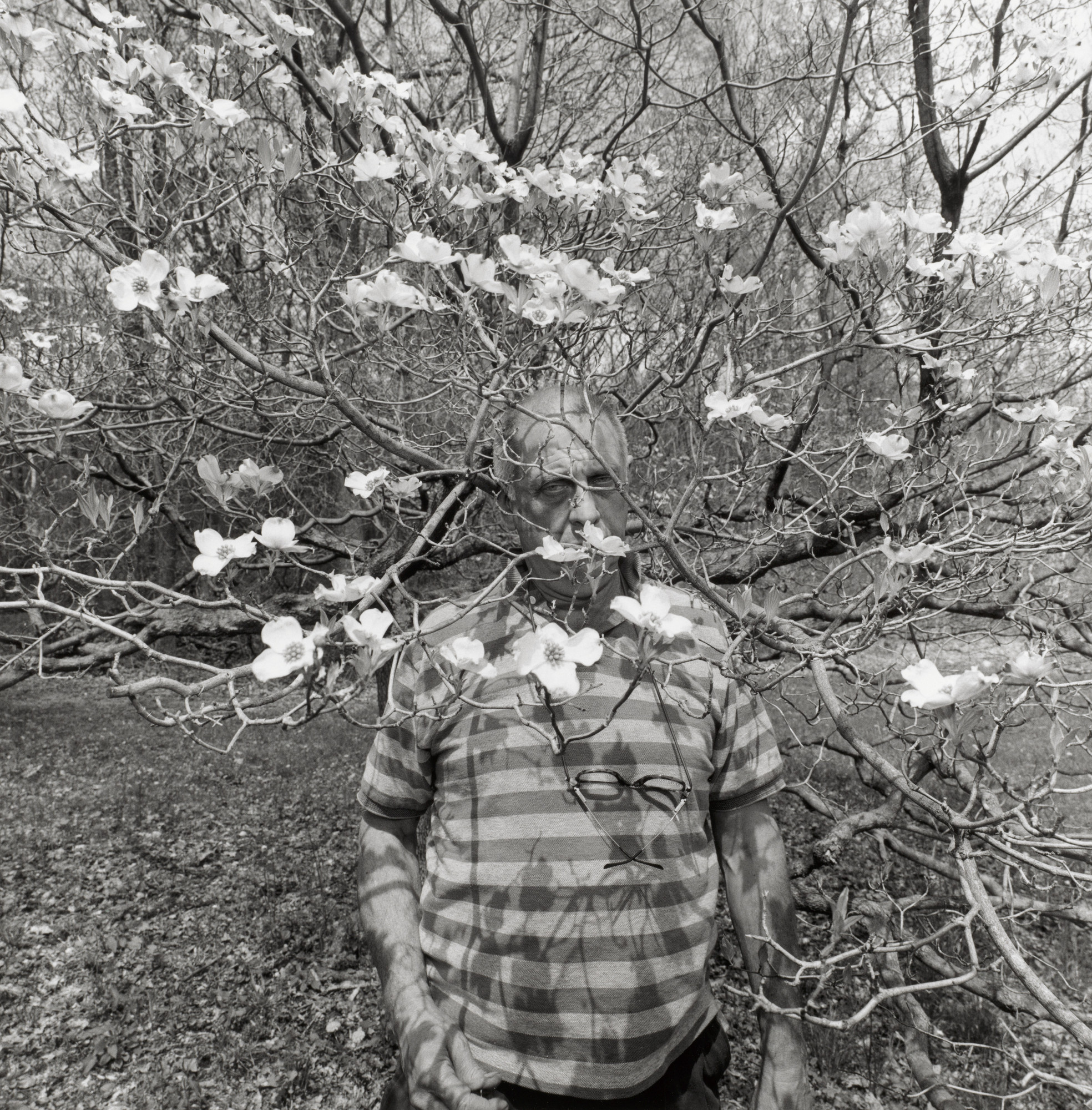 Lee Friedlander. New City. 1996 | MoMA