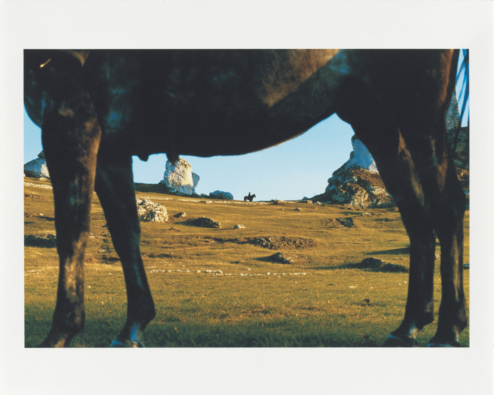 Piotr Uklanski. Summer Love. 2000 | MoMA