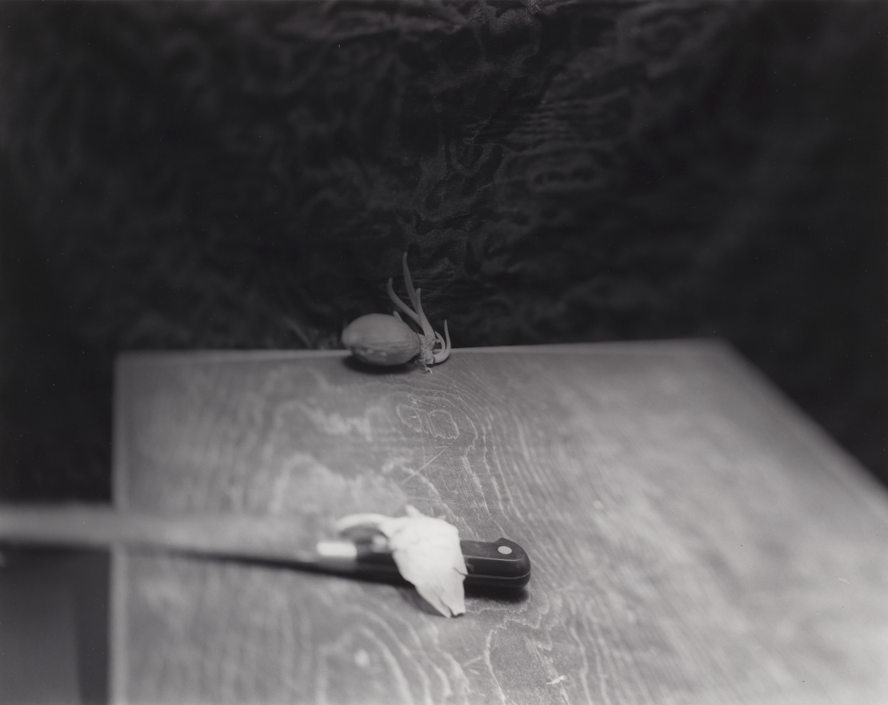 Jan Groover. Untitled. 1985 | MoMA