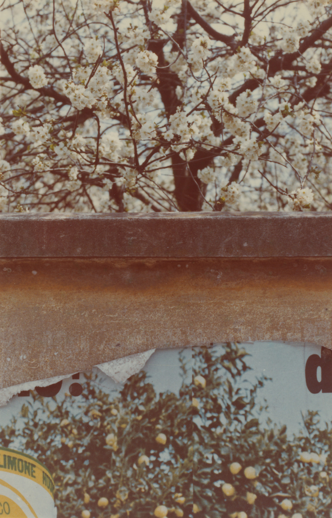 Luigi Ghirri. Cardboard Landscapes. 1971-73 | MoMA