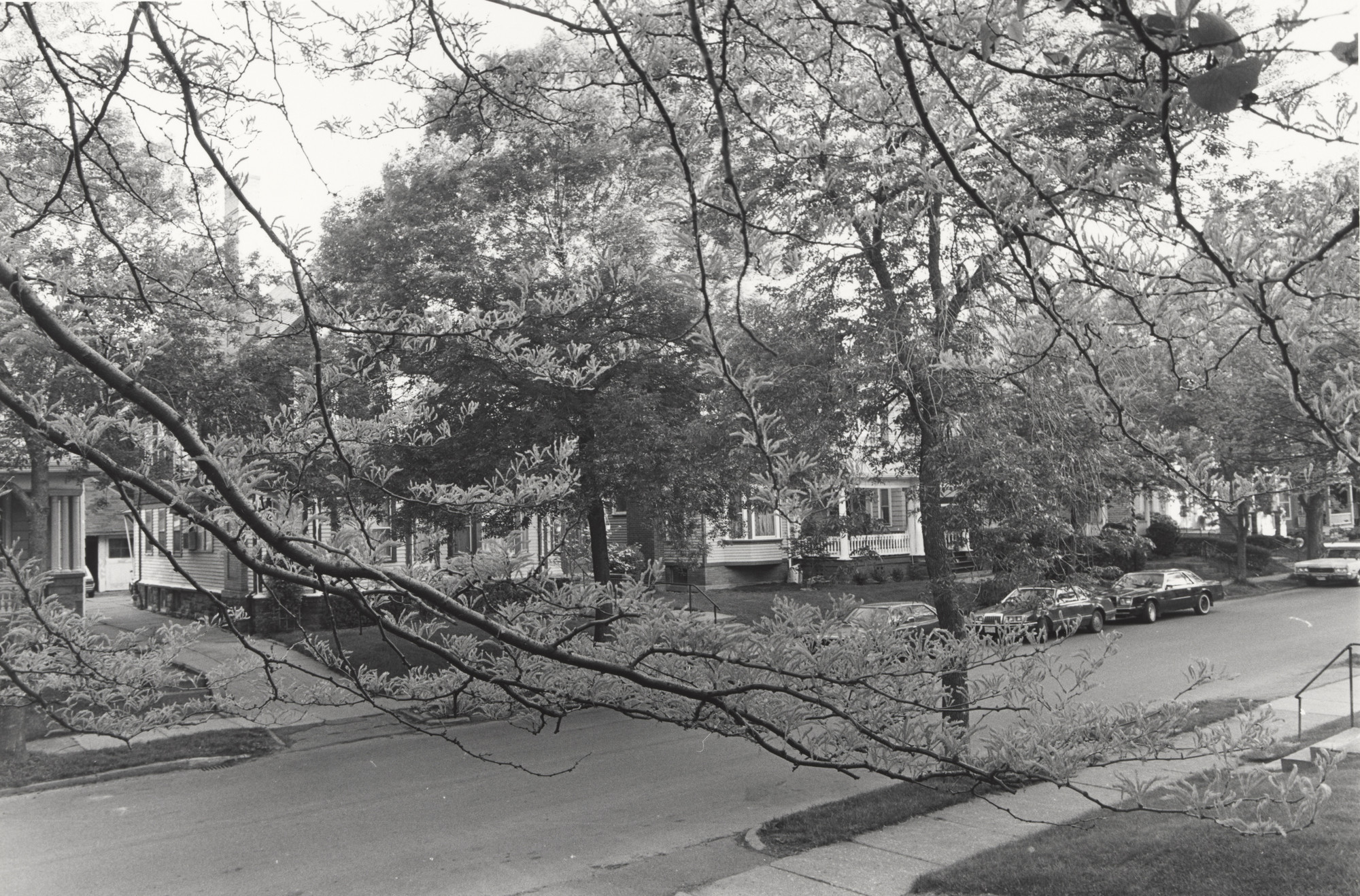Lee Friedlander. Rochester. 1989 | MoMA