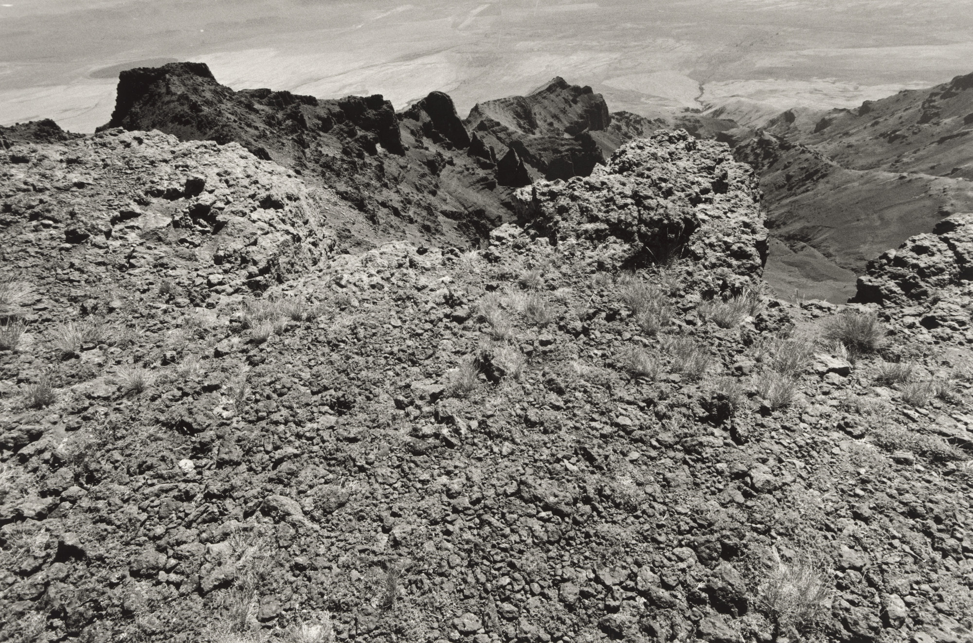 Lee Friedlander. Steen Mountains, Oregon. 1987? | MoMA