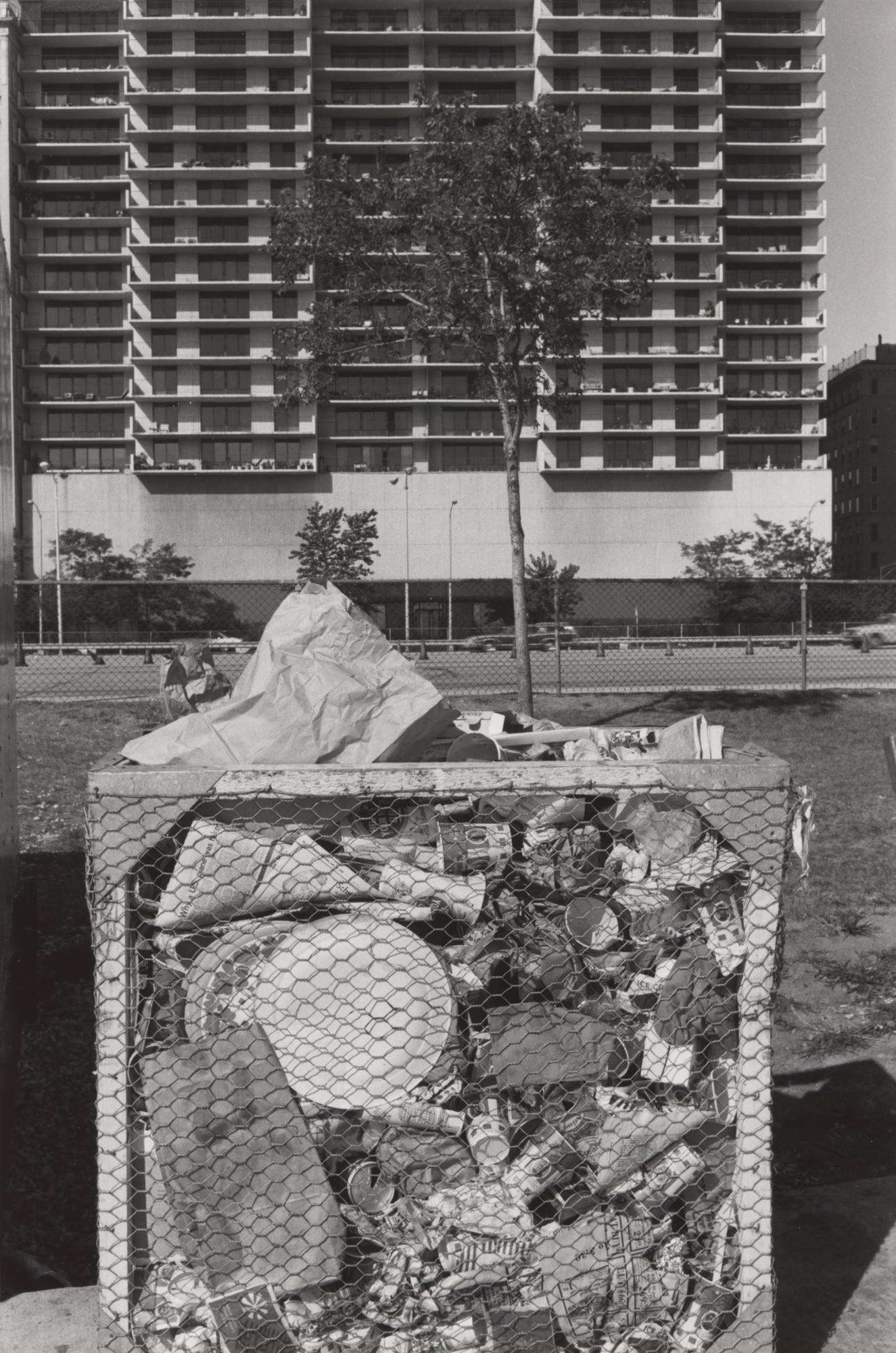 Lee Friedlander. Chicago. 1976 | MoMA