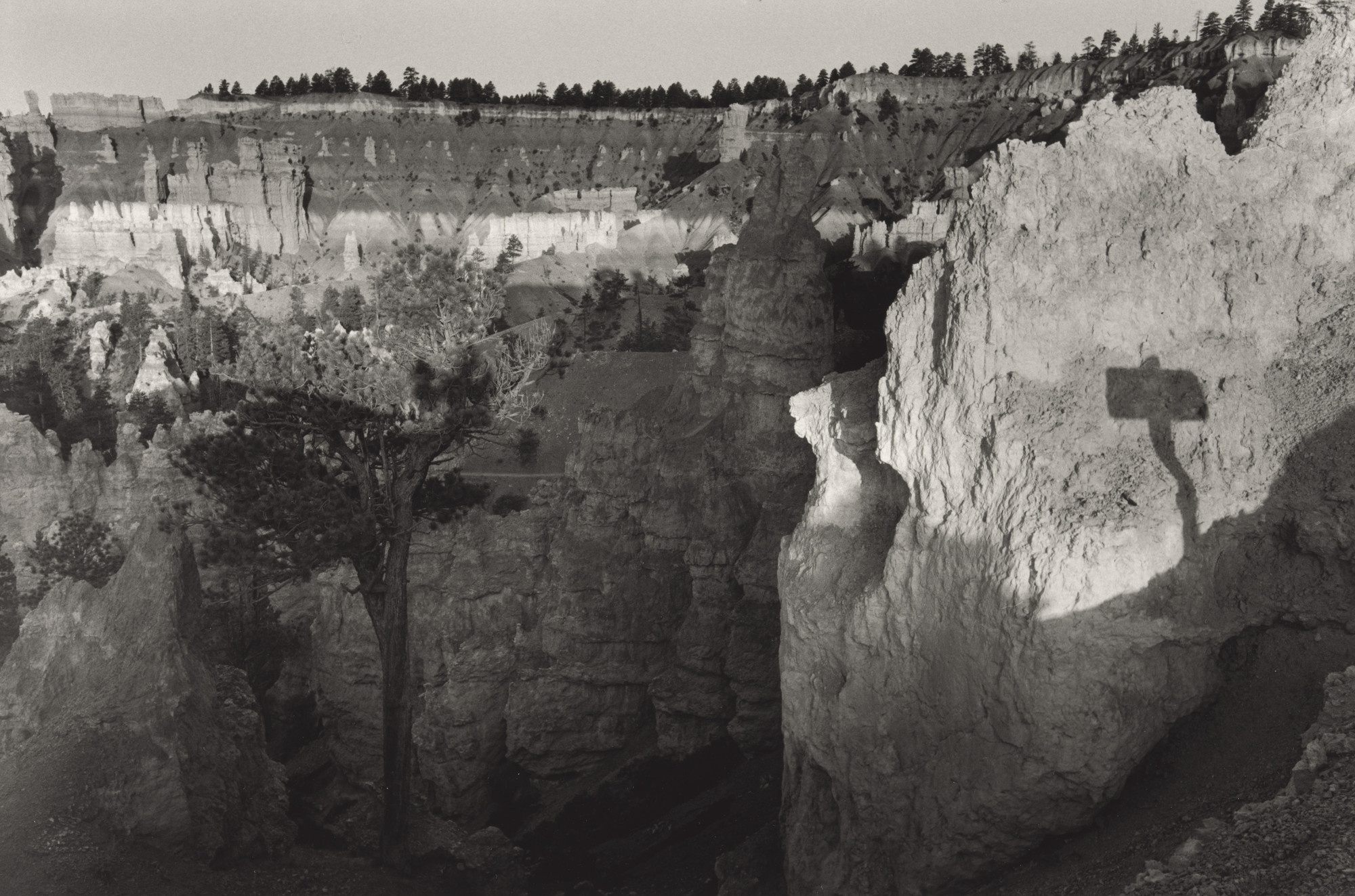 Lee Friedlander. Bryce Canyon. 1983 | MoMA