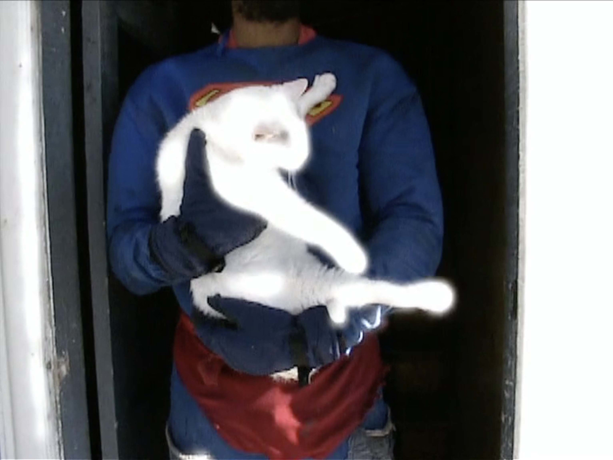 Pope.L. Snow Crawl. 1992 - 2001 | MoMA