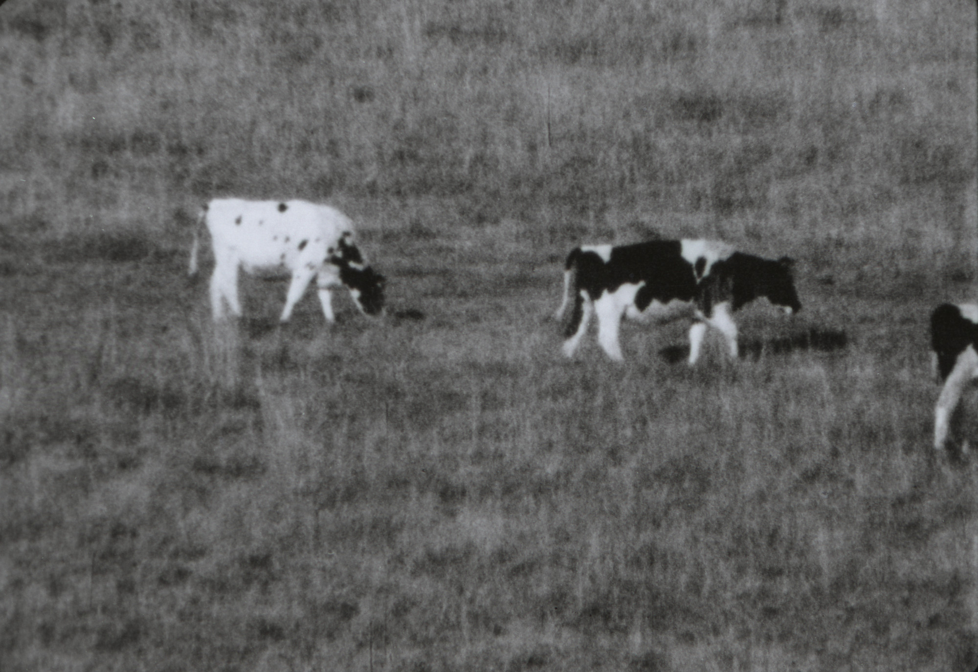 Hollis Frampton. Summer Solstice. 1974 | MoMA
