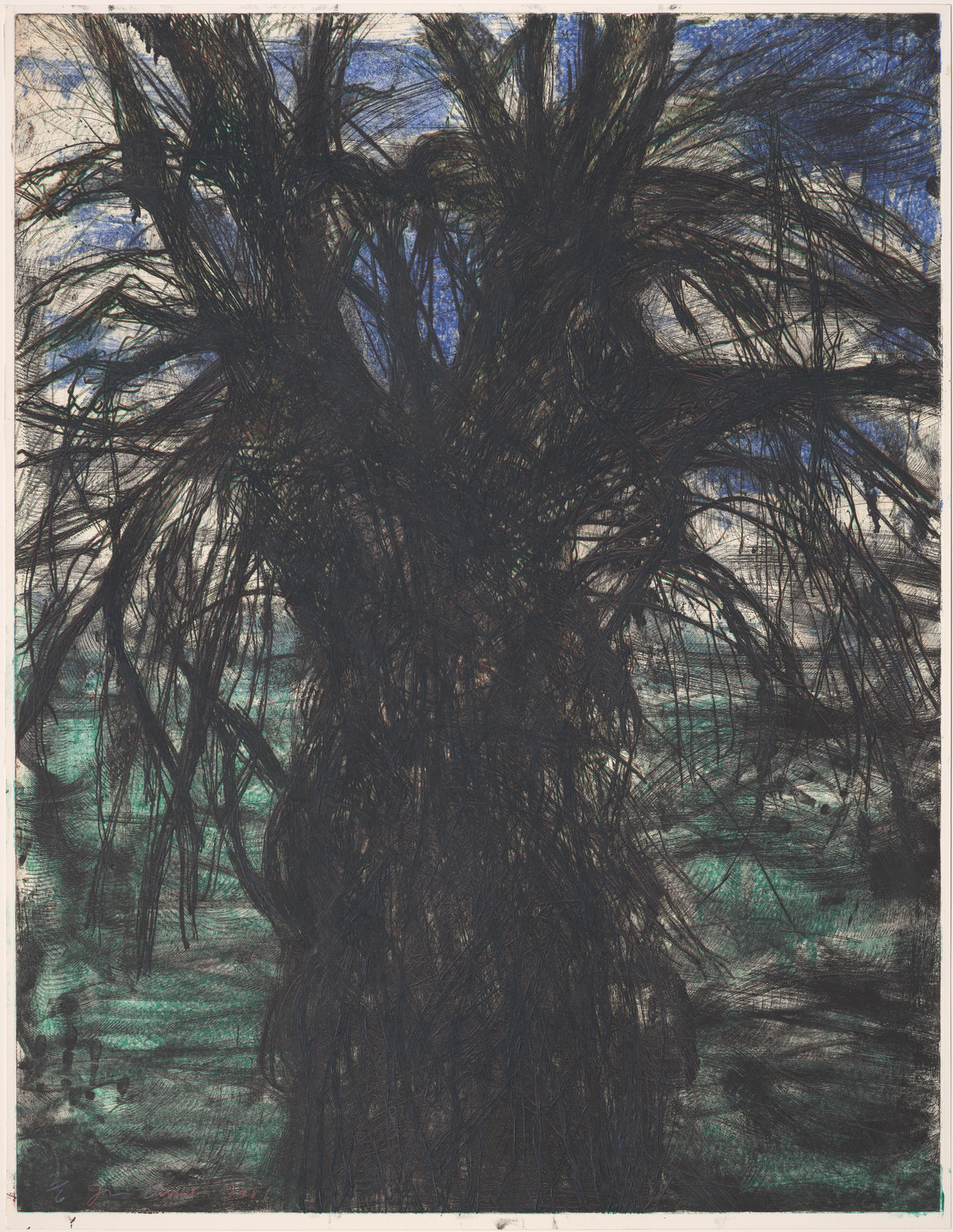 Jim Dine. The Tree in Soot. 1981 | MoMA