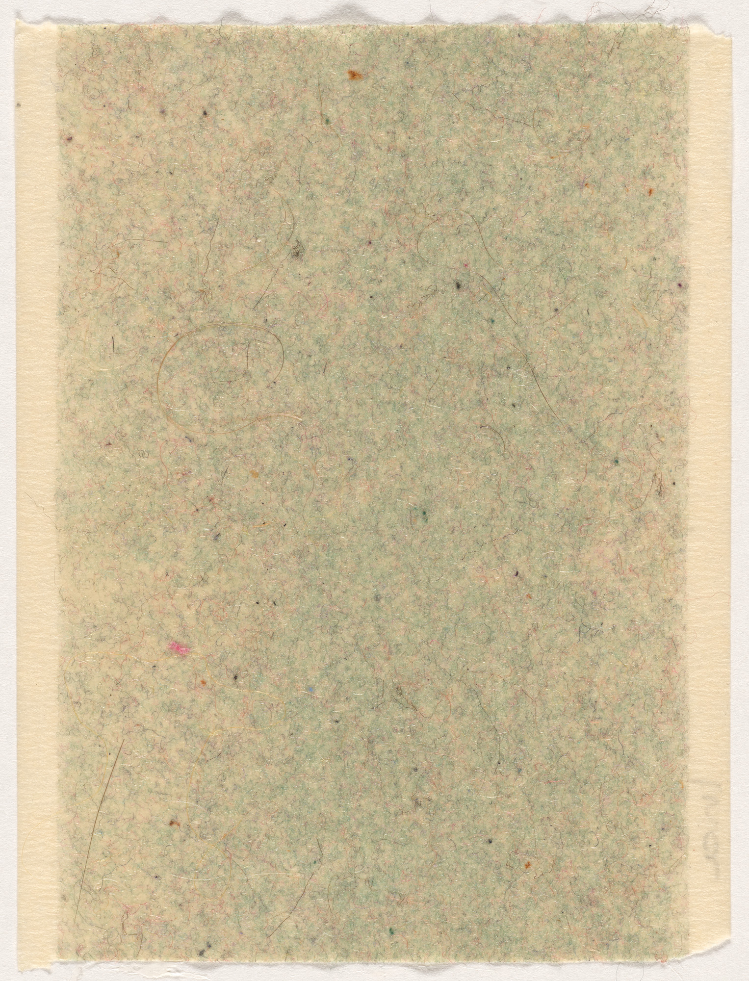 Karin Sander. Lint Pick Up - Ina. 1999 | MoMA