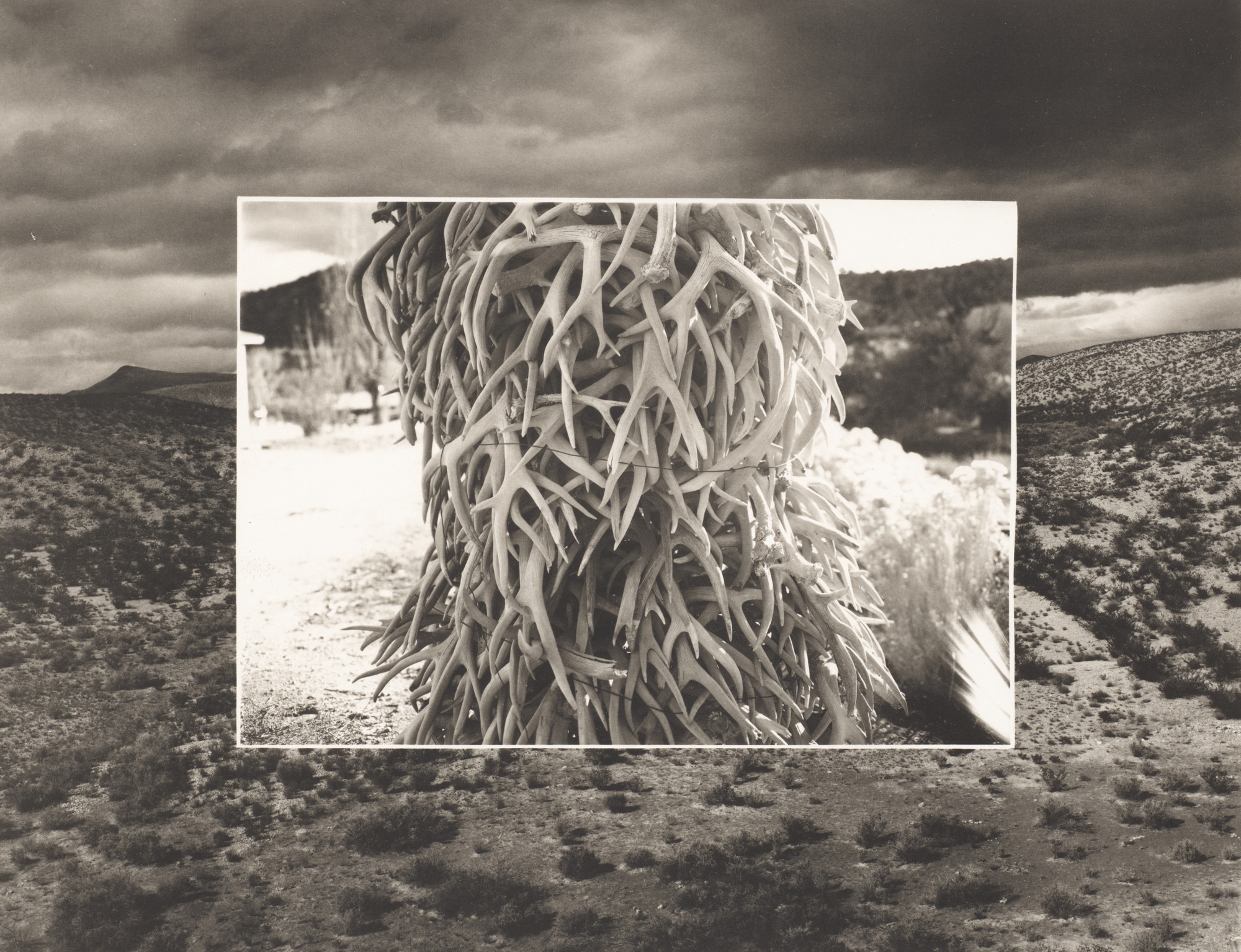 Meridel Rubenstein. Penitente. 1982 | MoMA