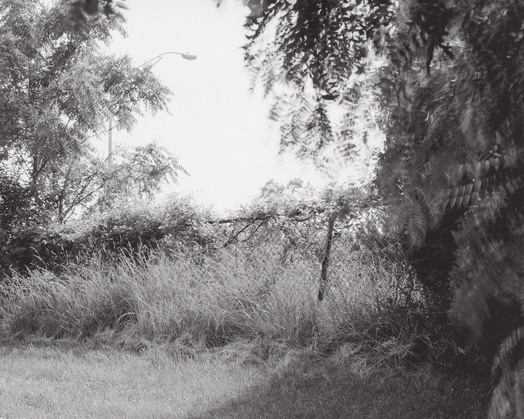 Zora J Murff. A Point (2). 2018 | MoMA