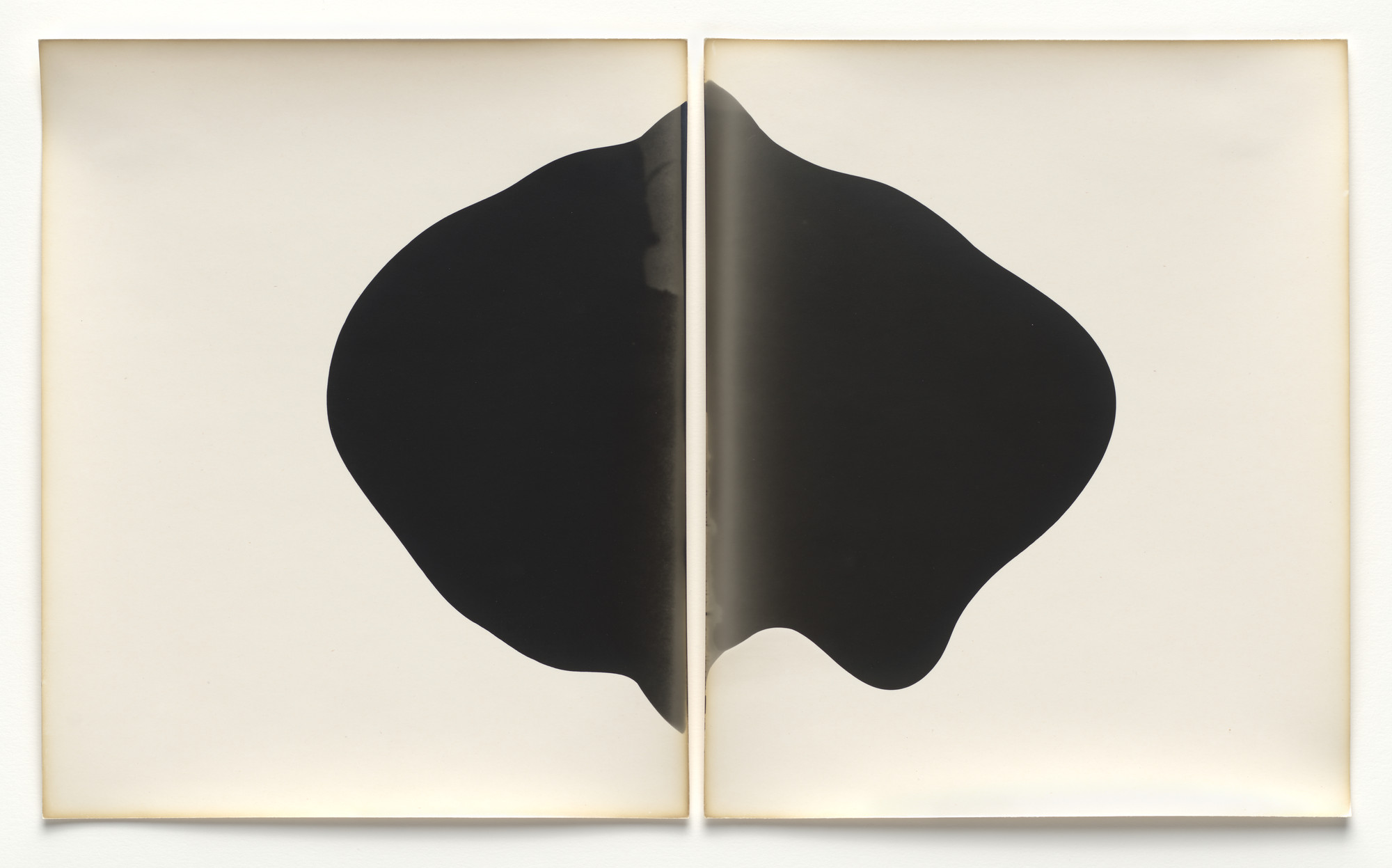 Alison Rossiter | MoMA