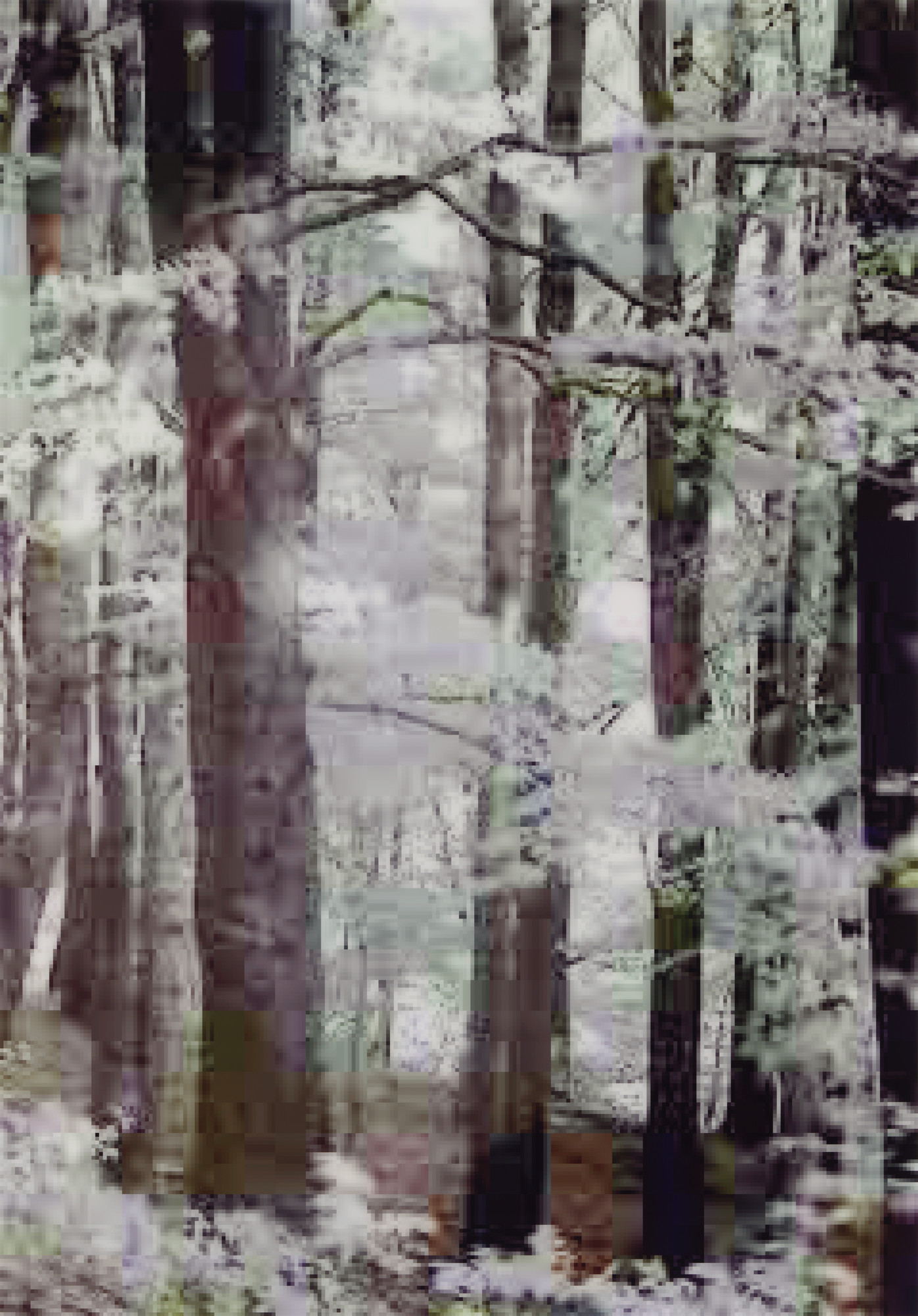 Thomas Ruff. jpeg tr01. 2007 | MoMA