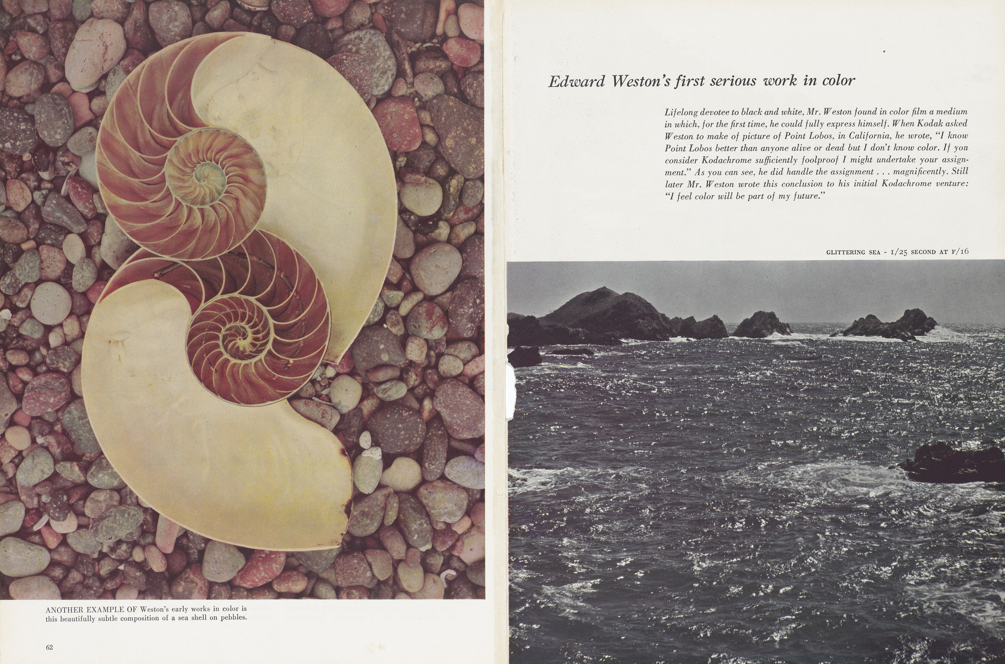 Edward Weston. Pages from U. S. Camera Annual 1958. 1957 | MoMA