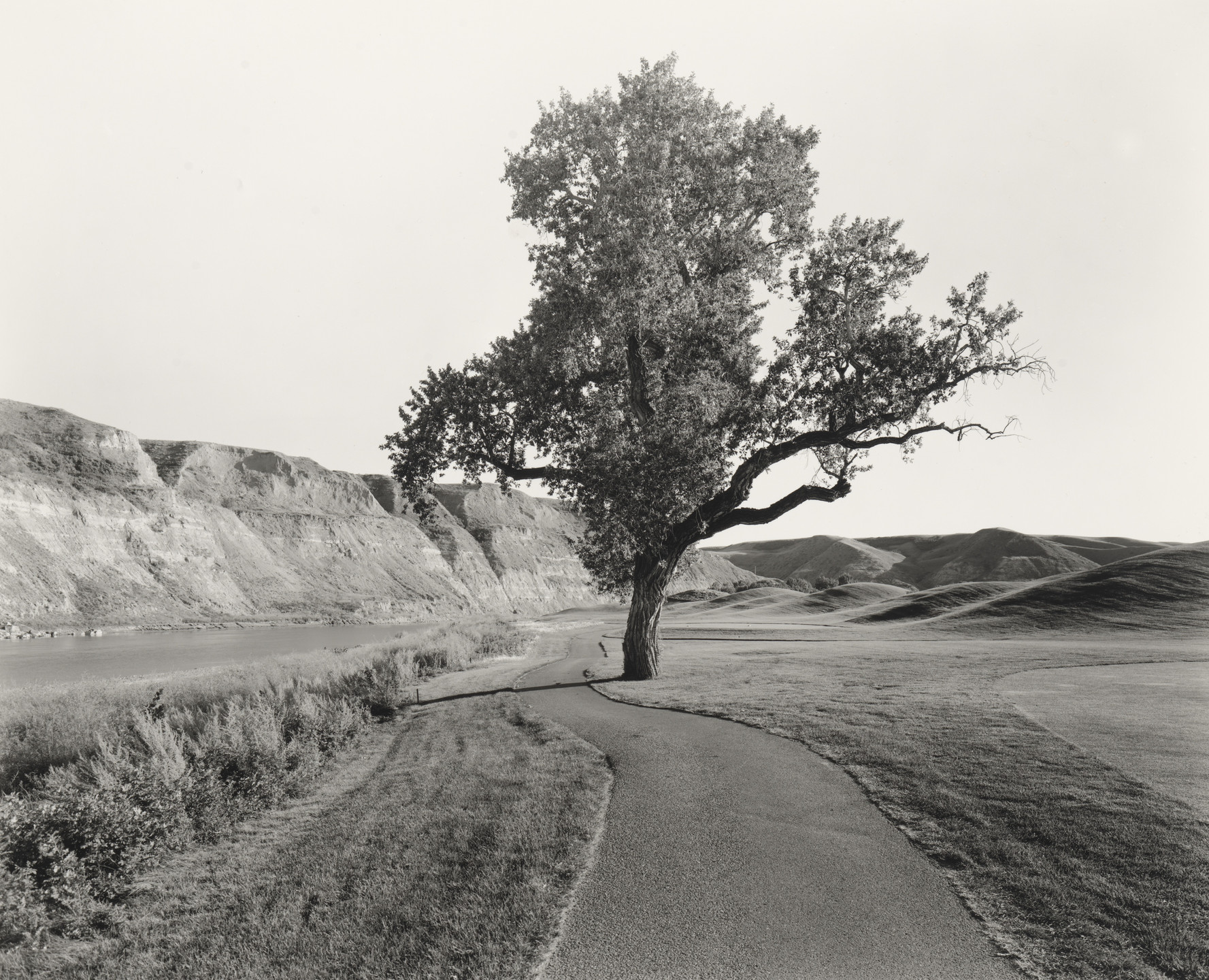 Geoffrey James. Paradise Canyon. 1999 | MoMA