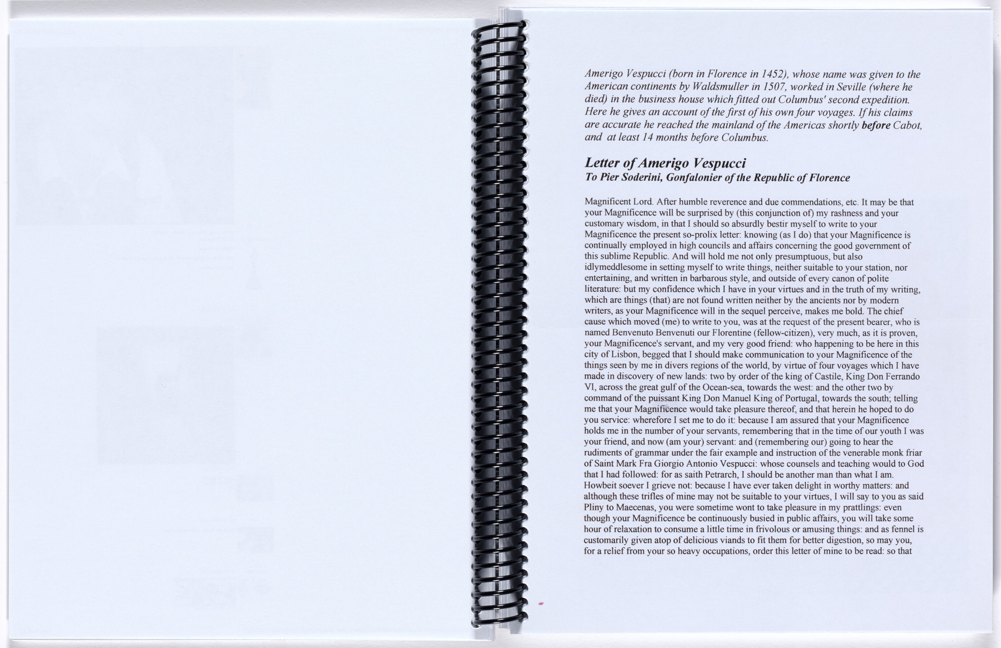 Rachel Harrison. If I Did It. 2014 | MoMA